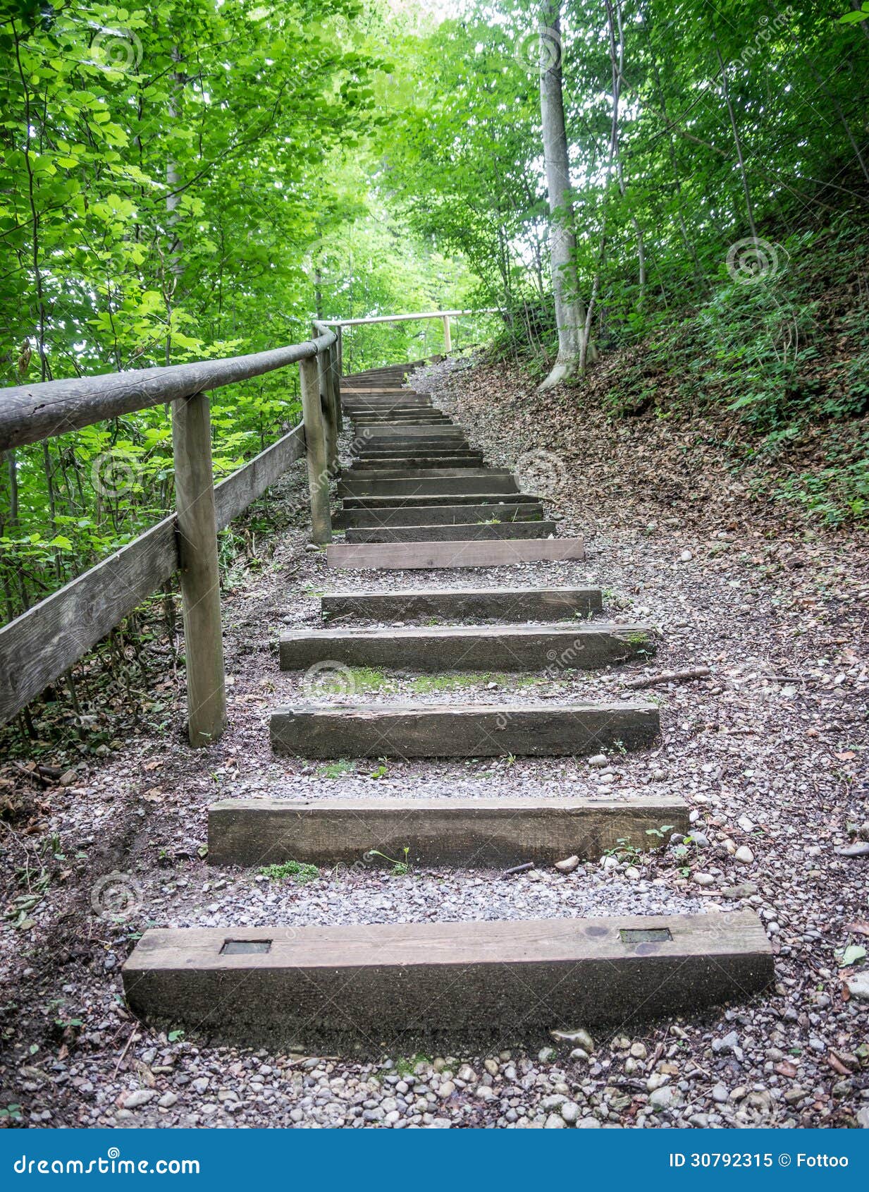 Wooden steps stock image. Image of footpath, single, curve - 30792315