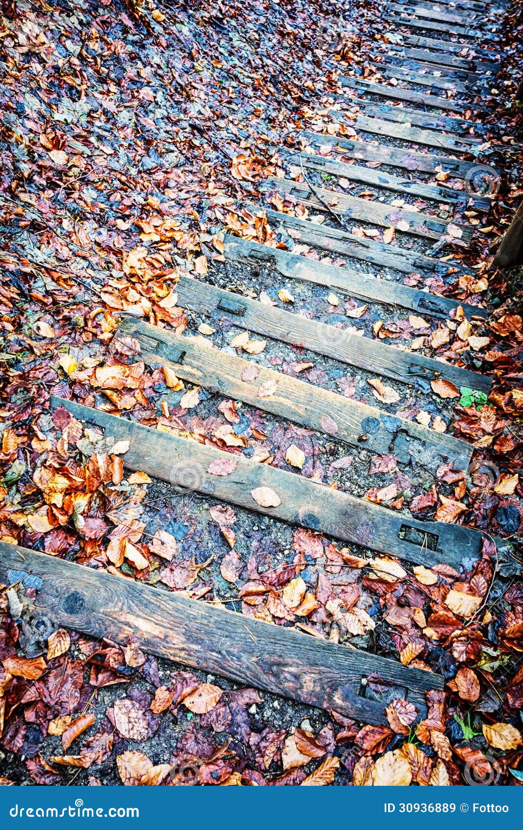 Wooden steps stock image. Image of outdoors, steps, vertical - 30936889