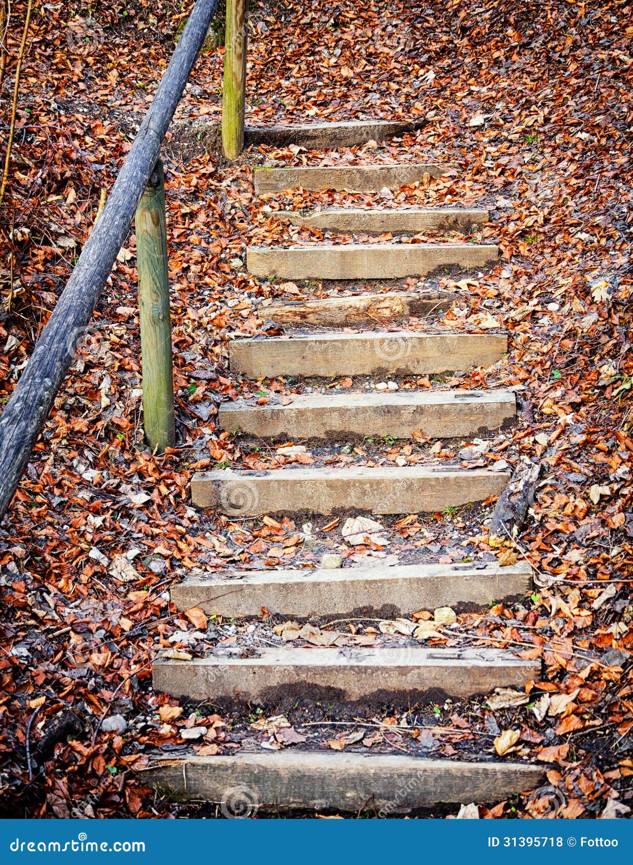 Wooden steps stock photo. Image of path, nature, curve - 31395718