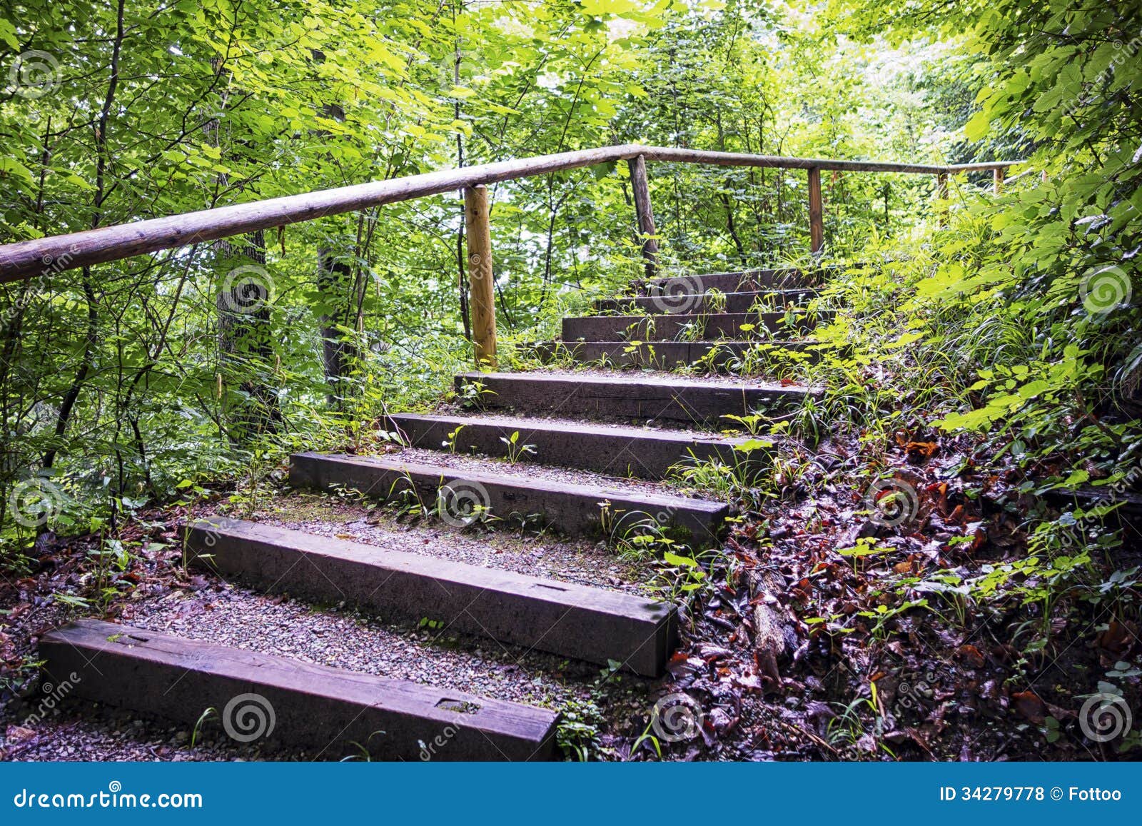 Wooden steps stock photo. Image of idyllic, striped, forest - 34279778