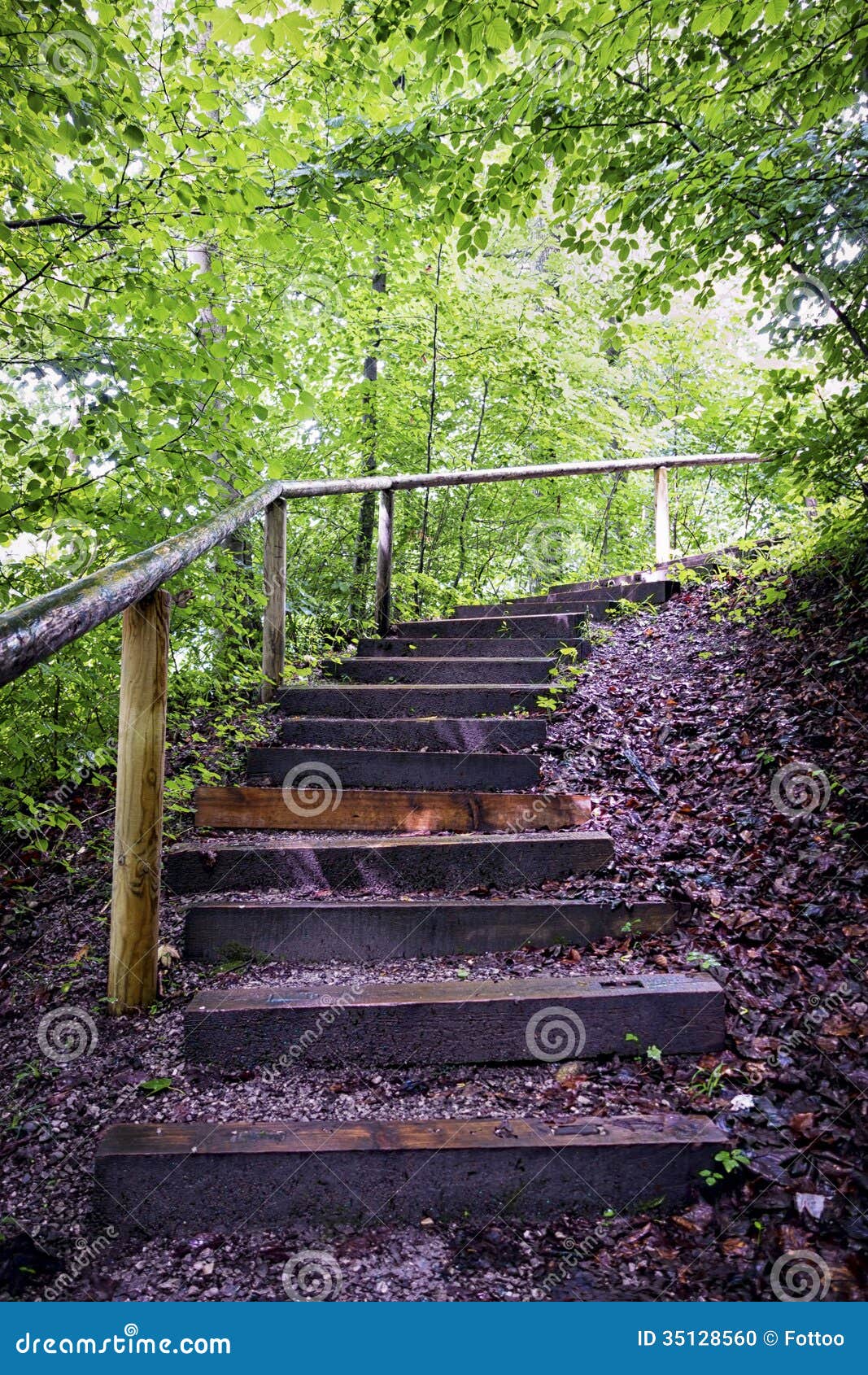 Wooden steps stock photo. Image of outdoors, trail, steps - 35128560