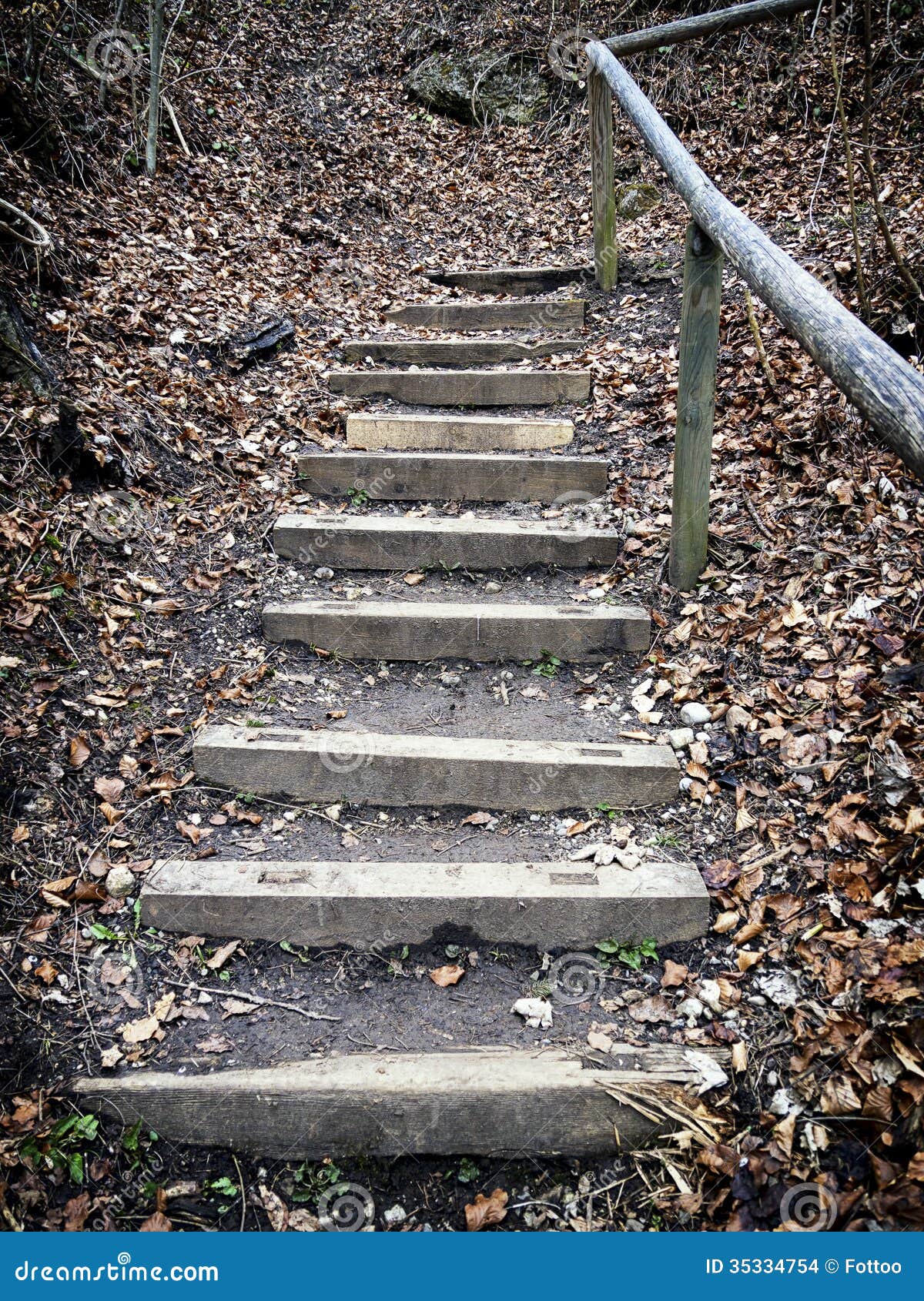 Wooden steps stock photo. Image of footpath, track, forest - 35334754