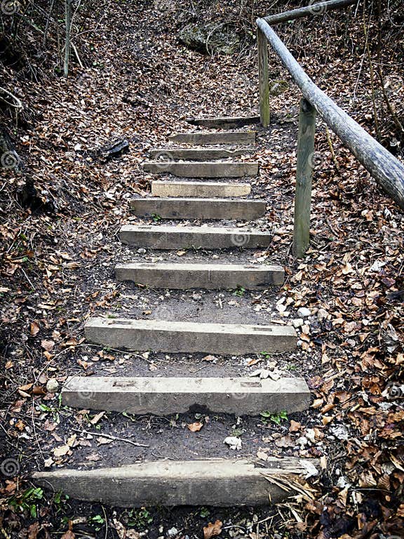 Wooden steps stock photo. Image of footpath, track, forest - 35334754