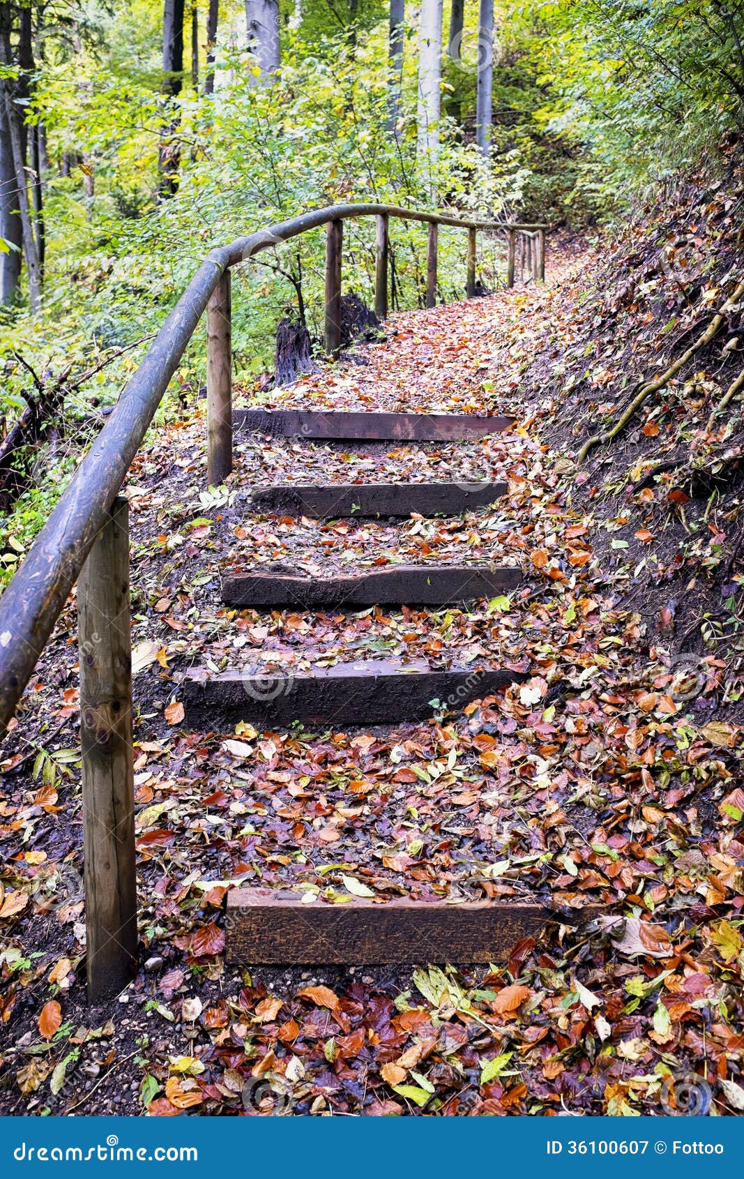 Wooden steps stock image. Image of track, hill, striped - 36100607