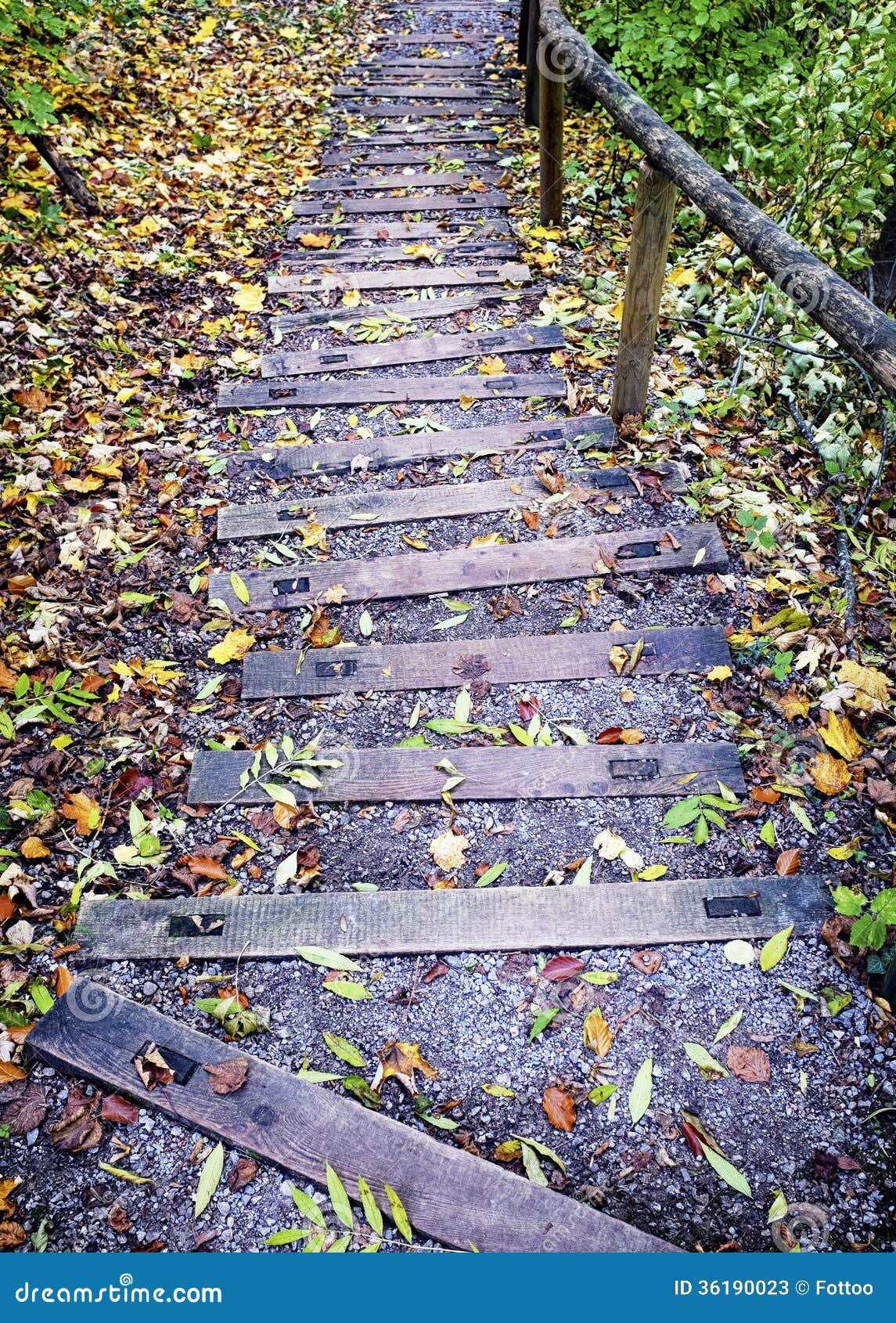 Wooden steps stock image. Image of obsolete, uneven, forest - 36190023