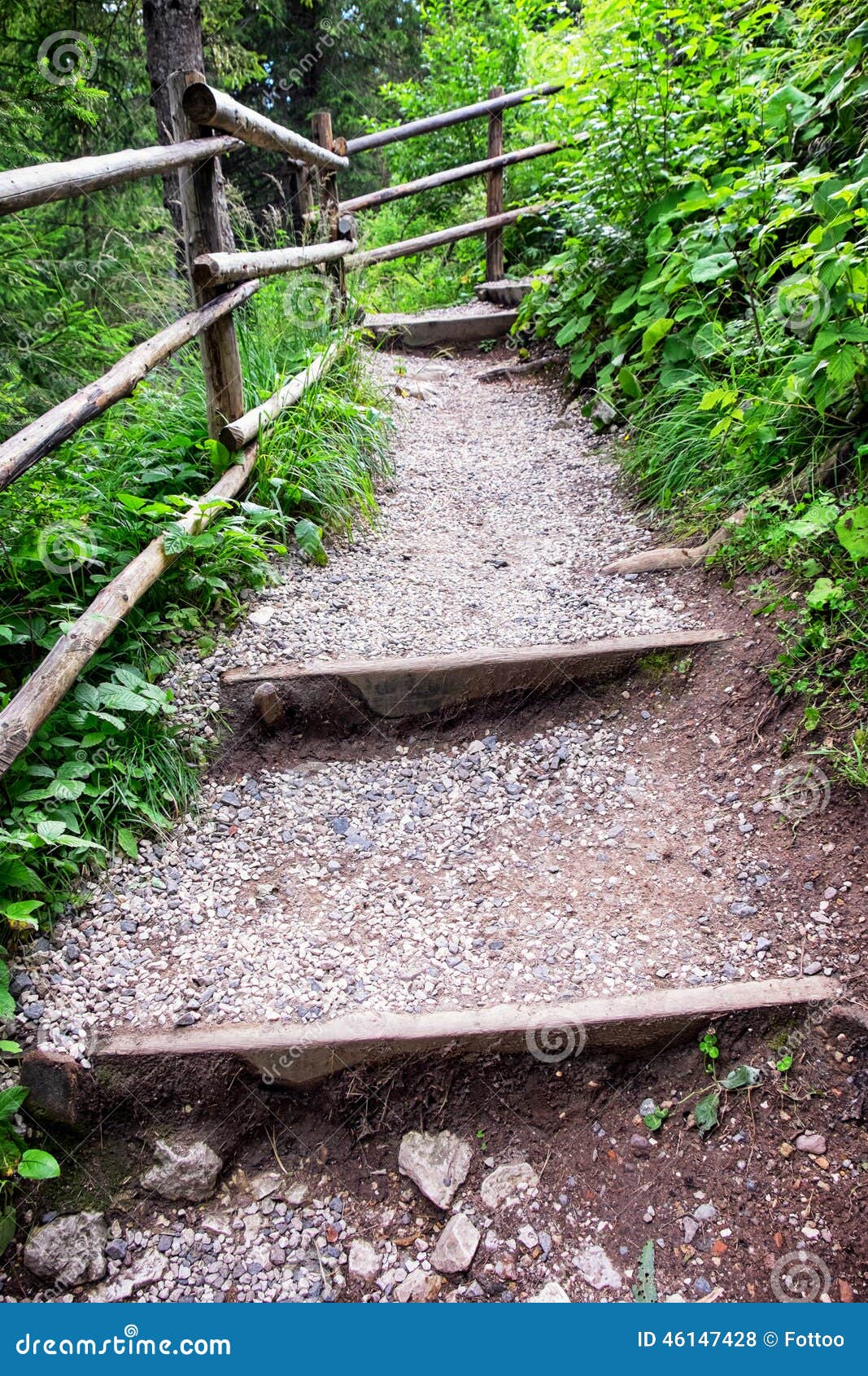 Wooden steps stock photo. Image of single, wood, steps - 46147428