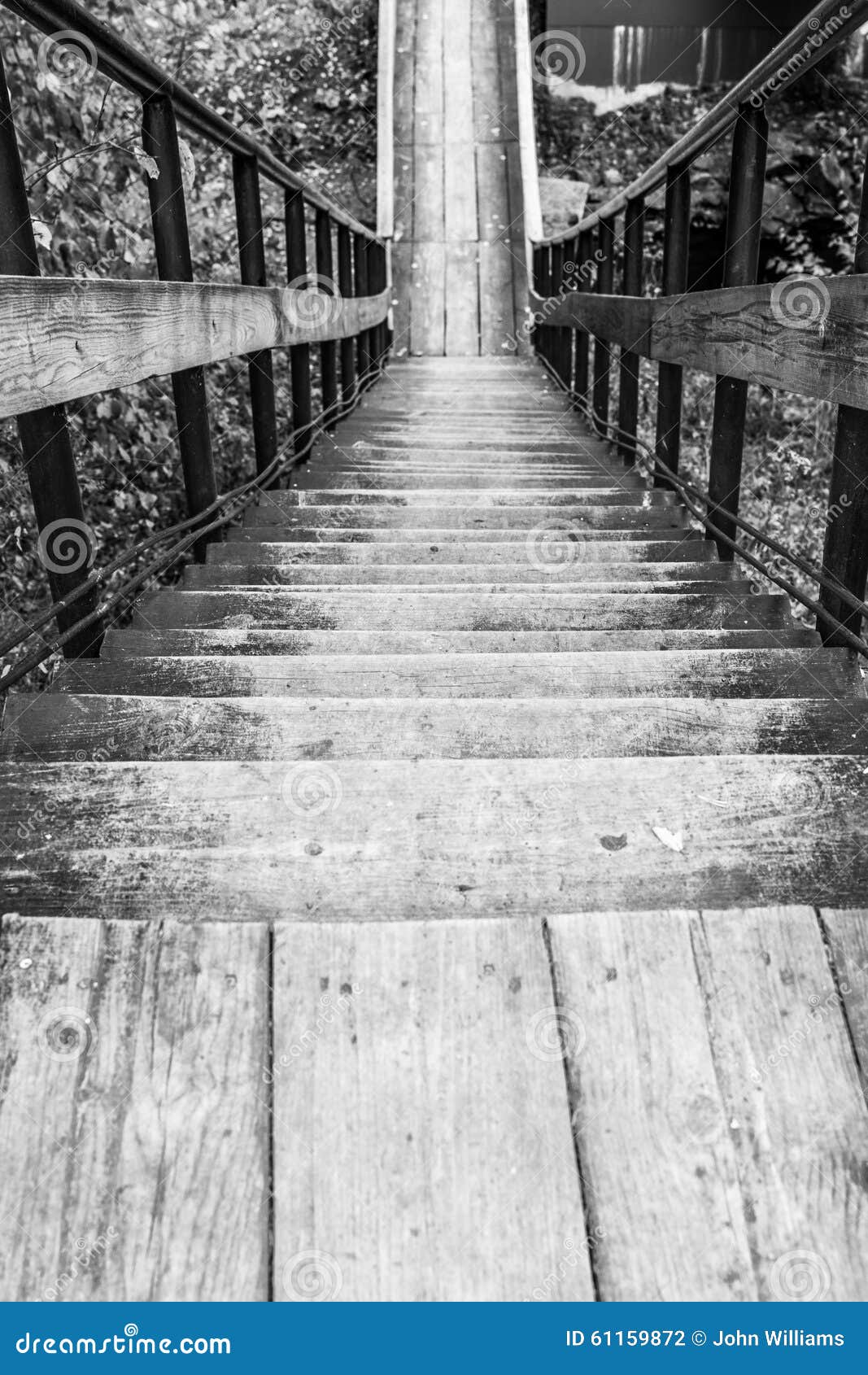 Wooden Steps Leading Down stock photo. Image of pine - 61159872