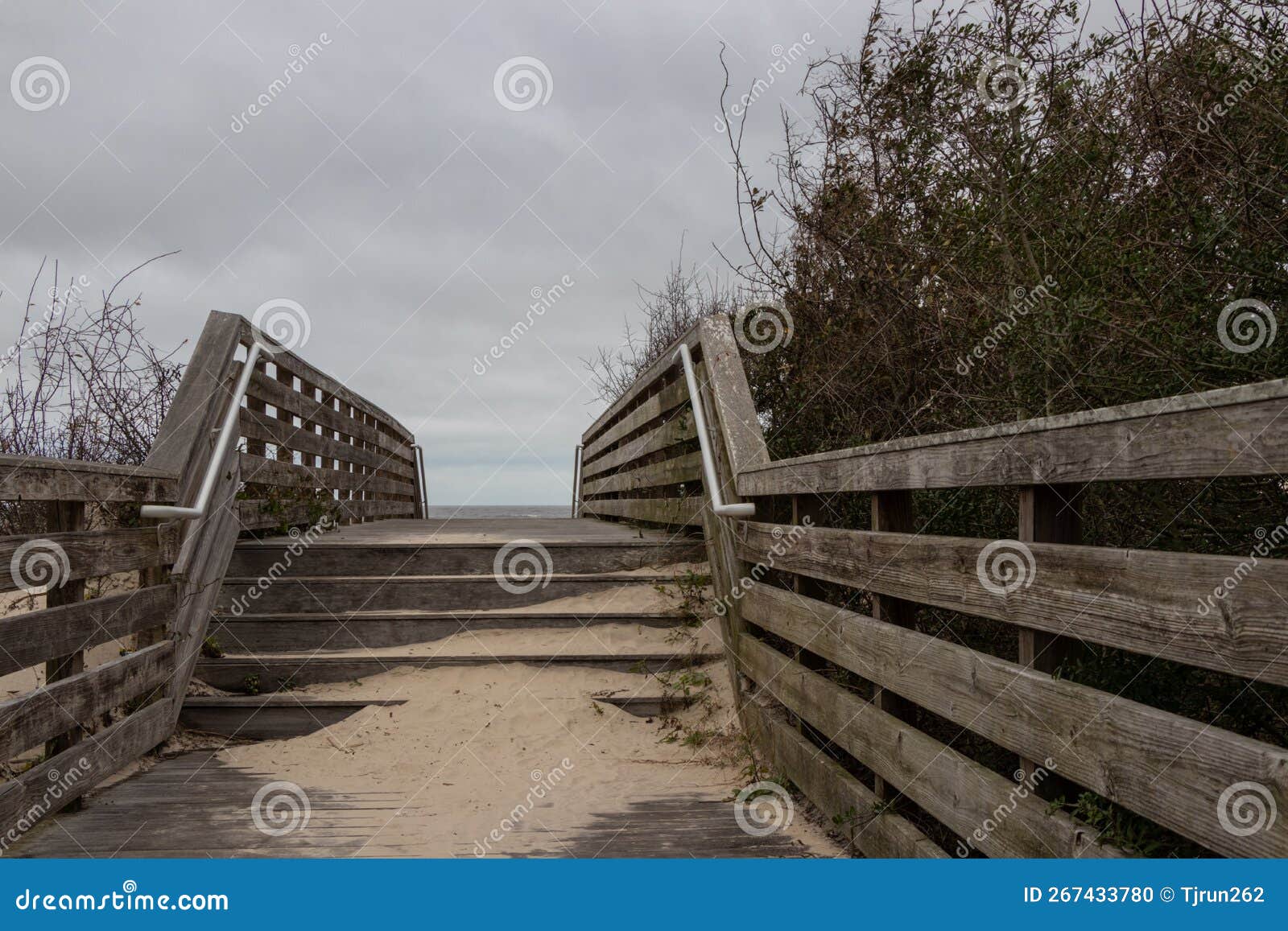 Wooden steps to the beach stock photo. Image of coastal - 267433780