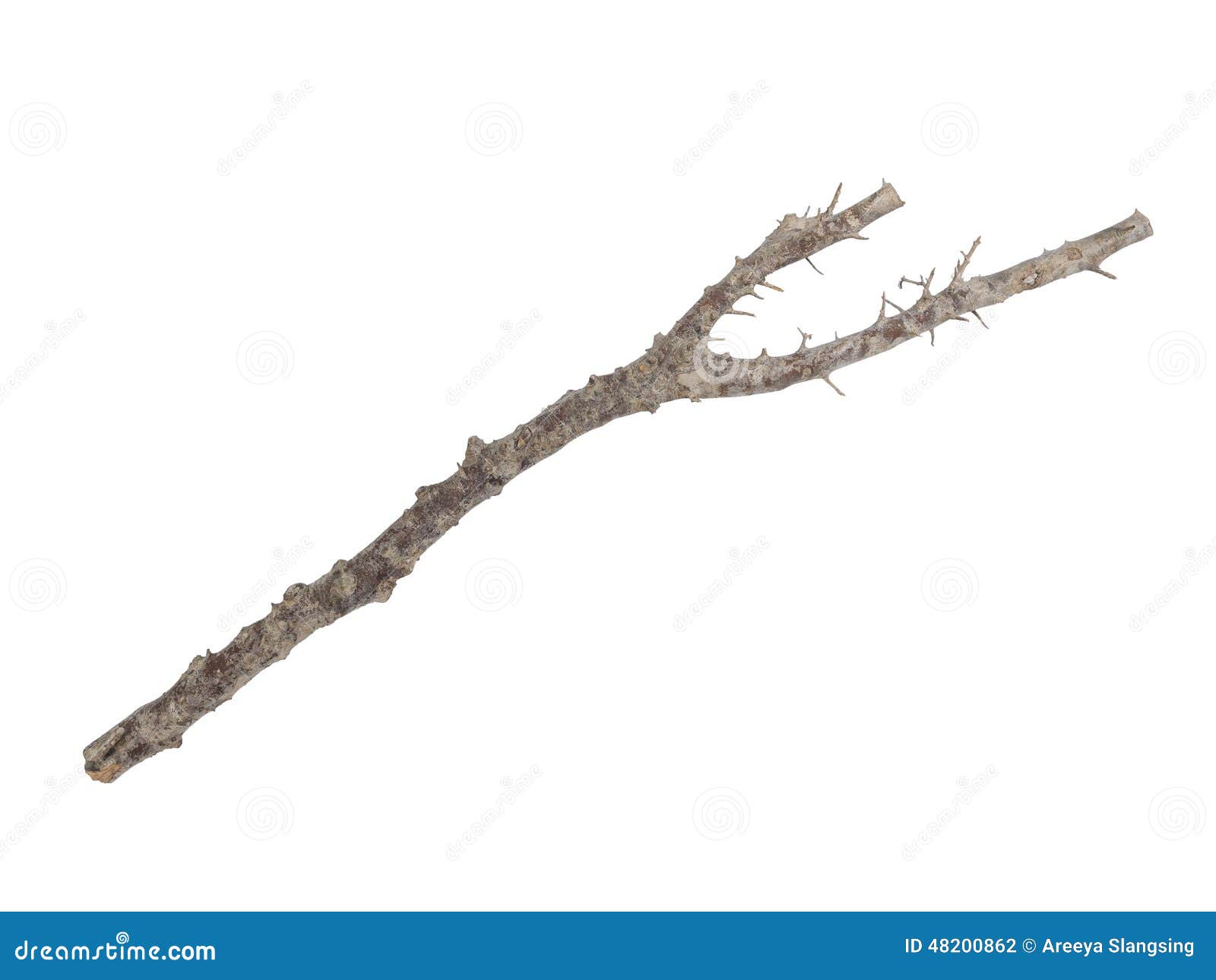 Wooden Stick Isolated on White Stock Photo - Image of natural, wooden ...