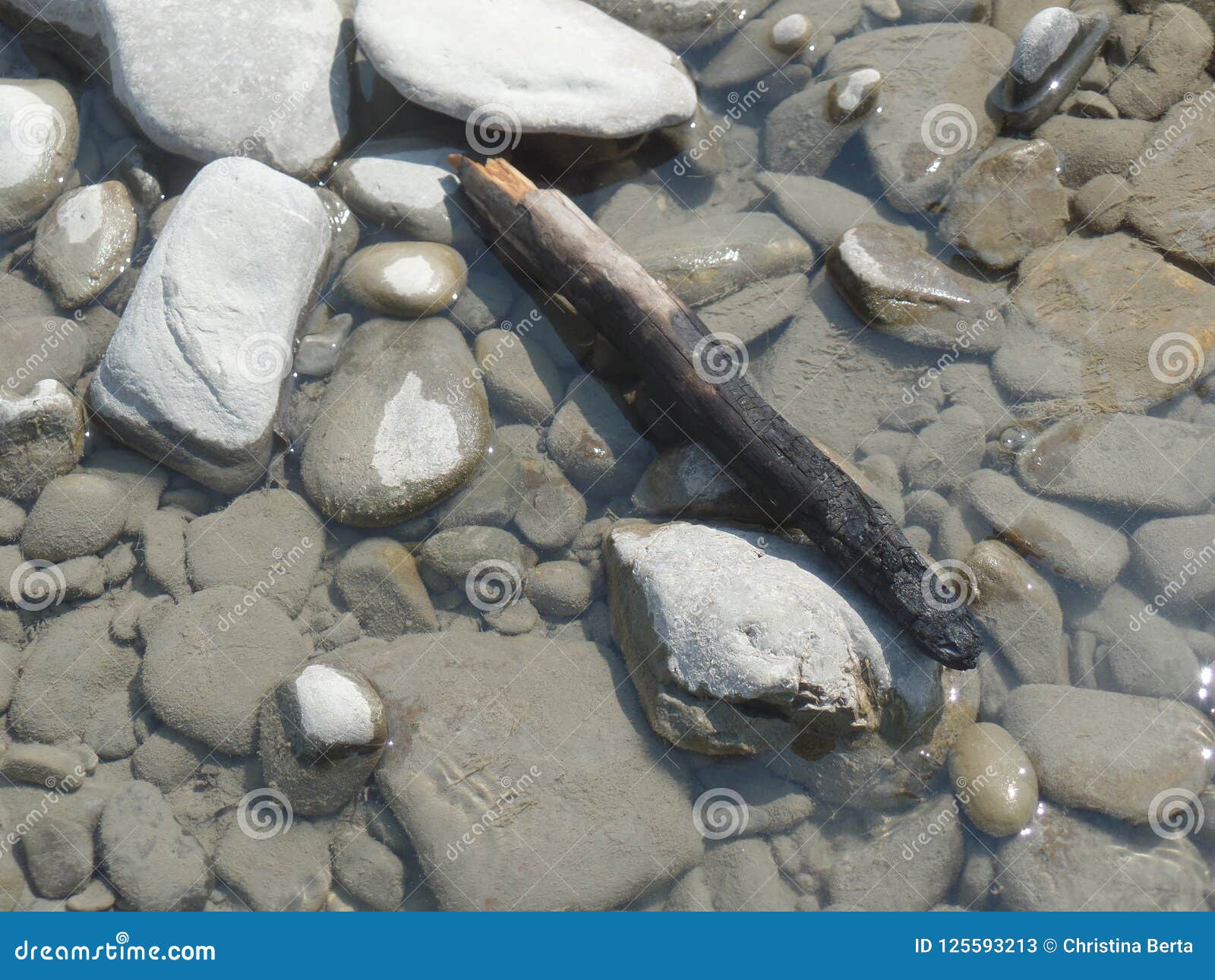 Wooden Stick on the Rocks by the River Stock Image - Image of brown ...
