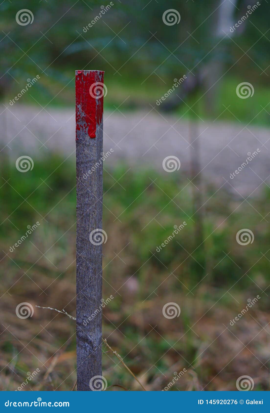 Wooden Stick with Tip Painted in Red Stock Photo - Image of isolated ...
