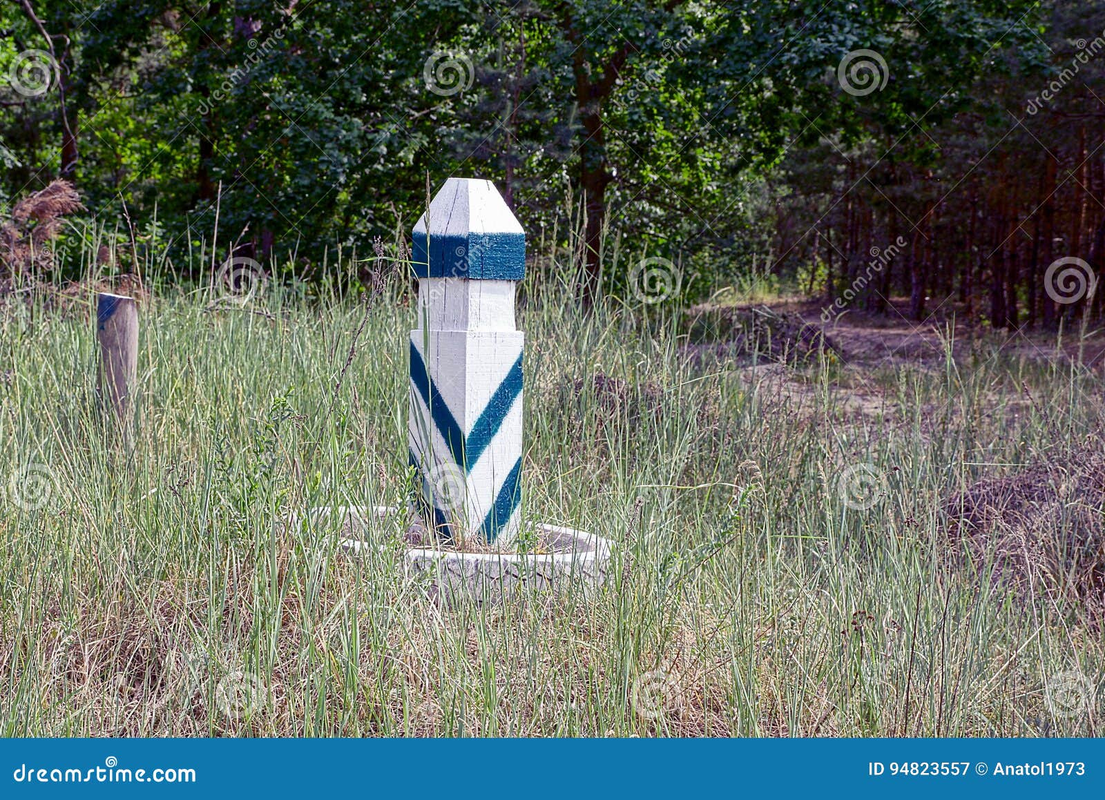 A Wooden Striped Post in the Forest at the Crossroads in the Grass ...