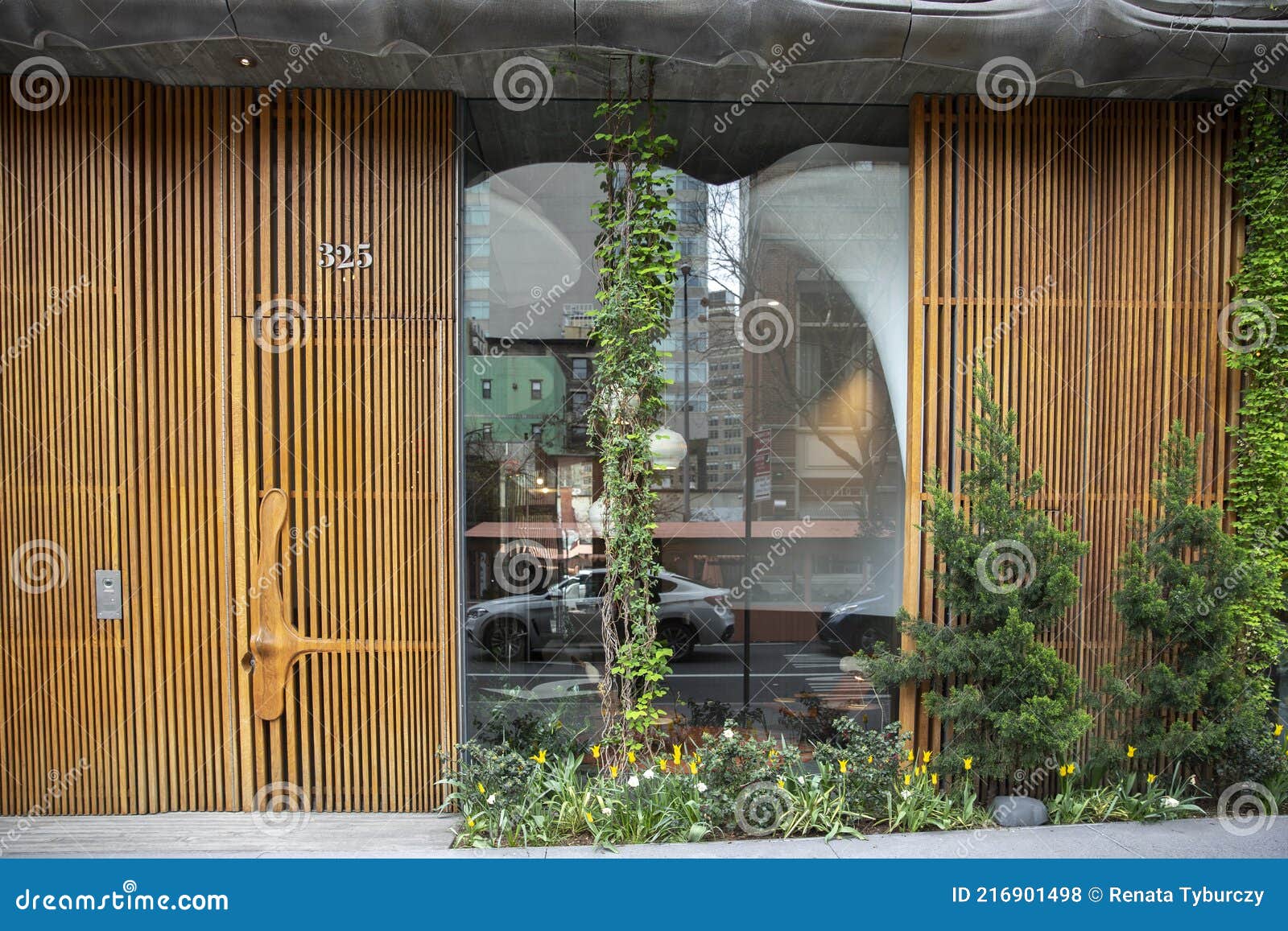 Wooden Striped Wall with Window Display and Plants. Reflection on a ...