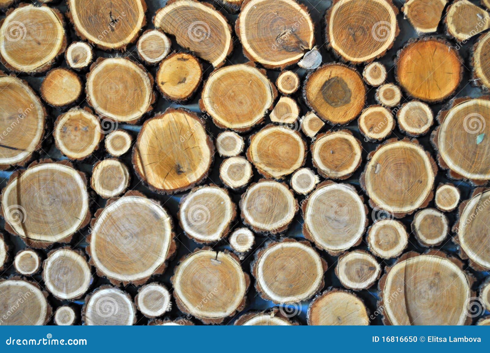 277 Wooden Stubs Stock Photos - Free & Royalty-Free Stock Photos from ...