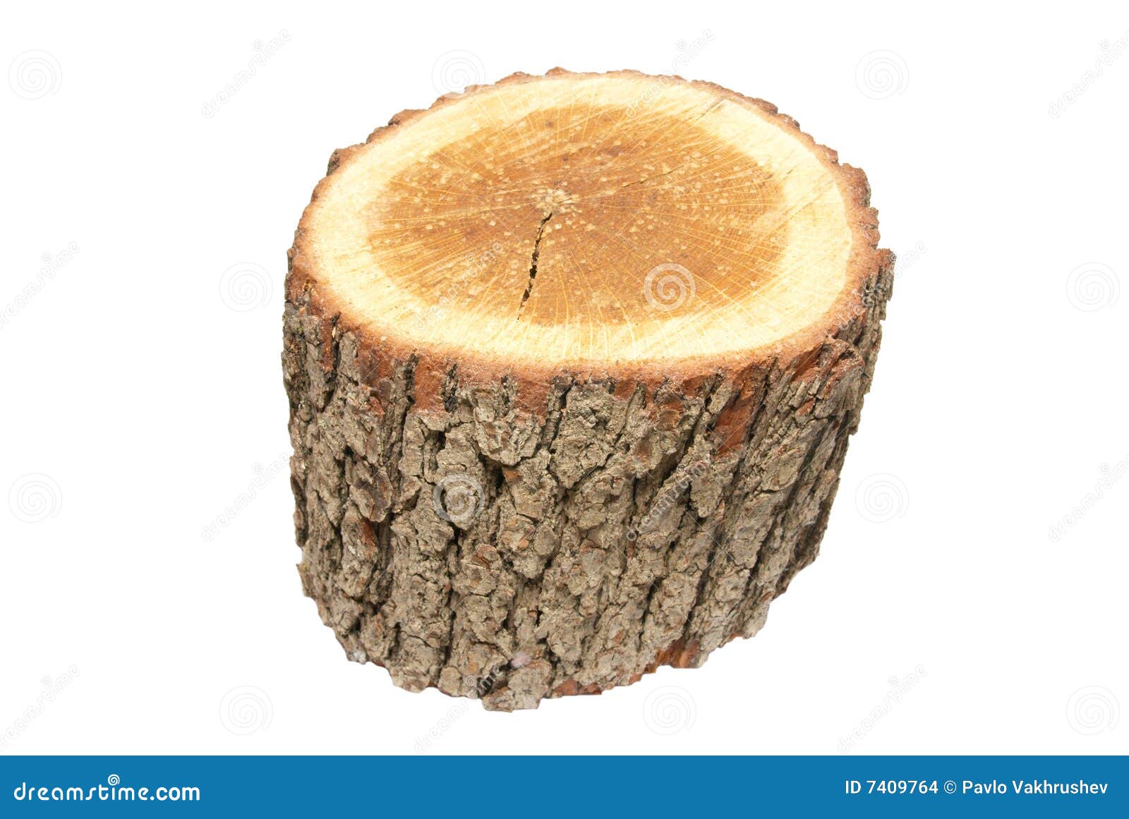 Wooden Stump Isolated On The White Background. Round Cut Down Tree With ...