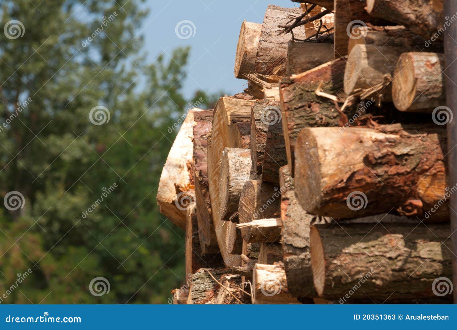 Wooden stumps stacked stock image. Image of round, wooden - 20351363