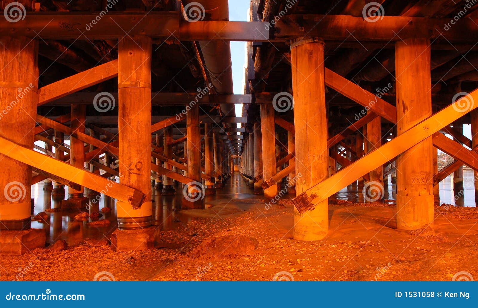 Wooden Support of Bridge and Pier Stock Photo - Image of forward ...