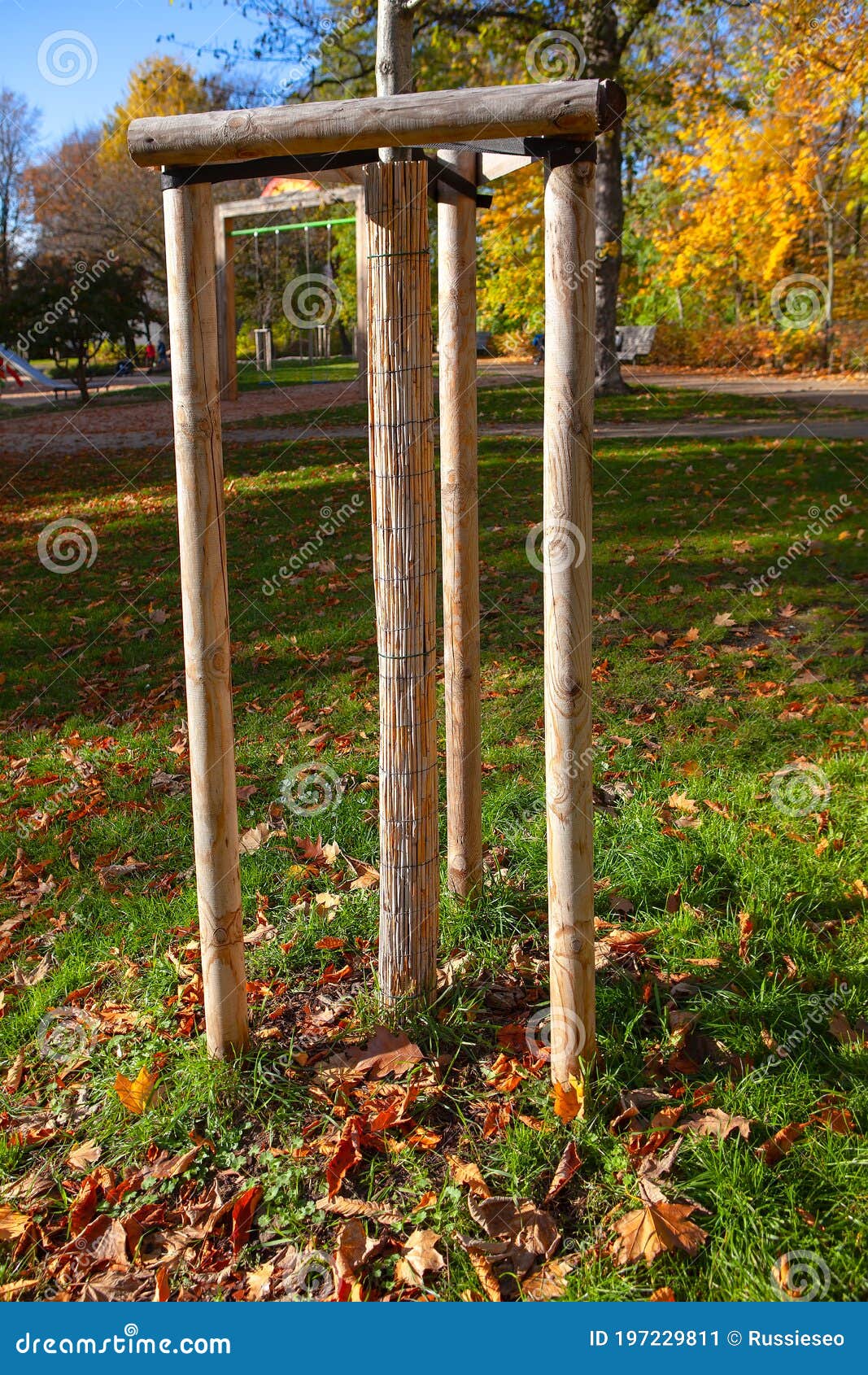 Wooden support for tree stock image. Image of planting - 197229811