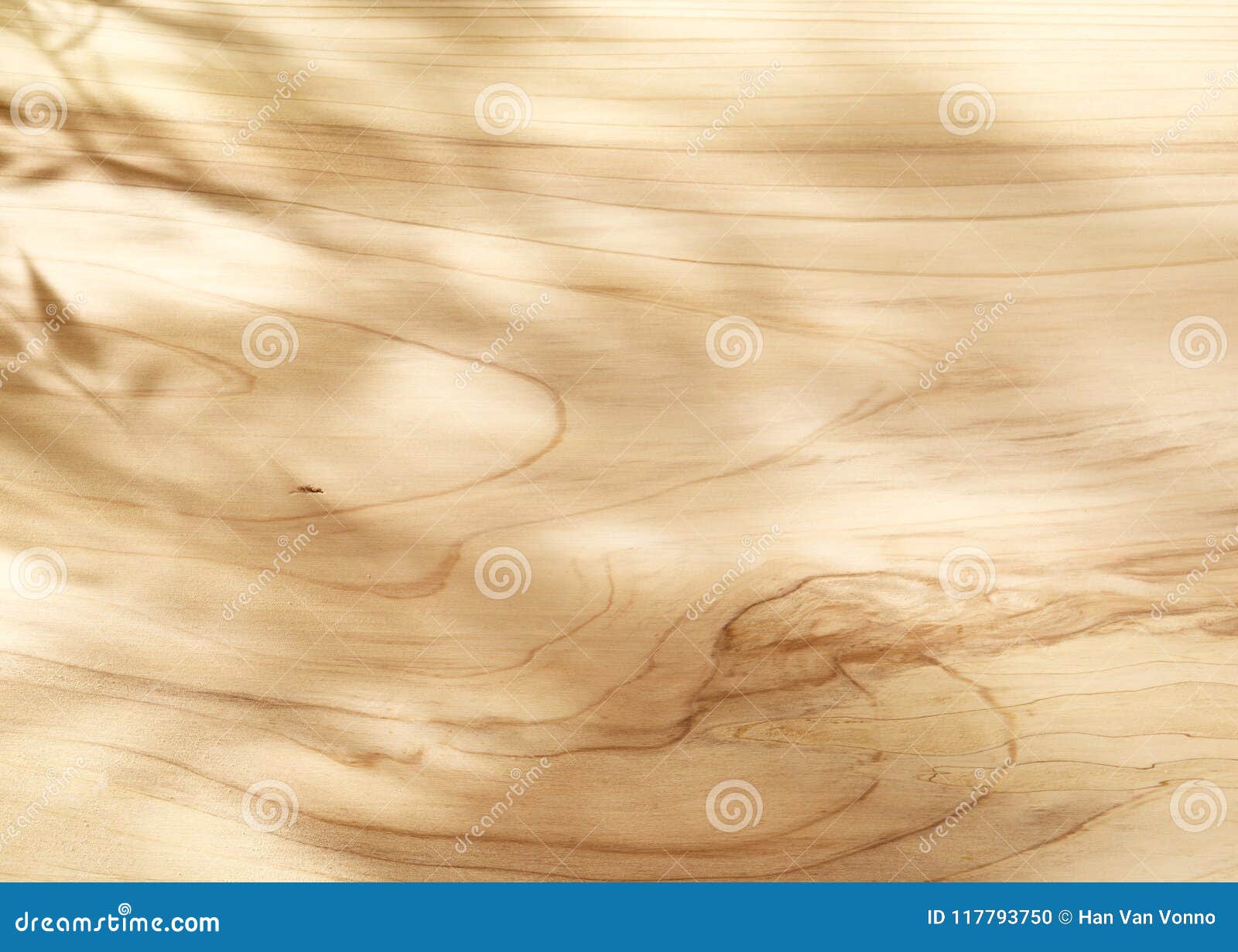 Wooden Surface in Sunny Light Stock Photo - Image of grain, detail ...