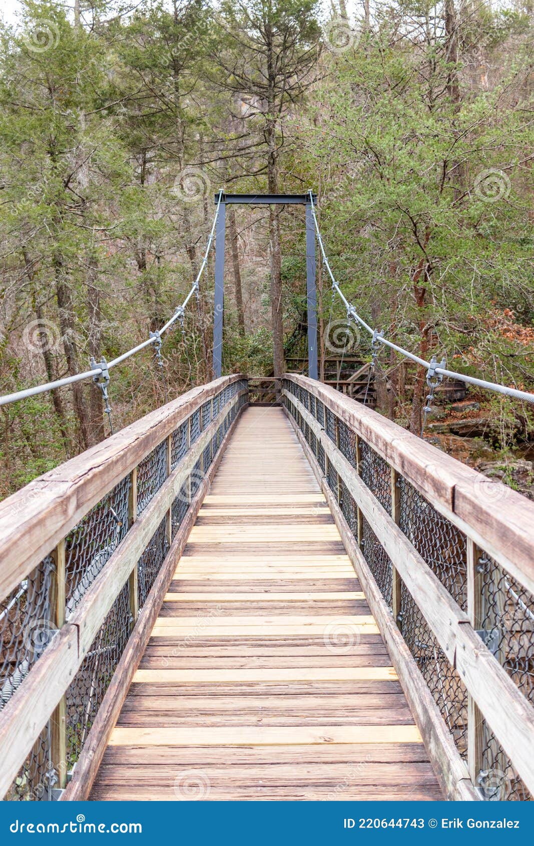 Wooden Suspension Bridge in the Forest Stock Image - Image of bridge ...