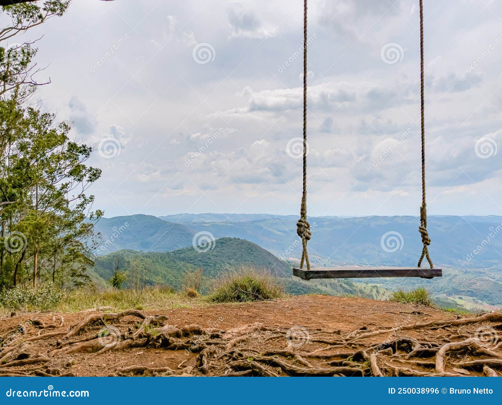 A Wooden Swing Hanging from the Tree Stock Photo - Image of landscape ...