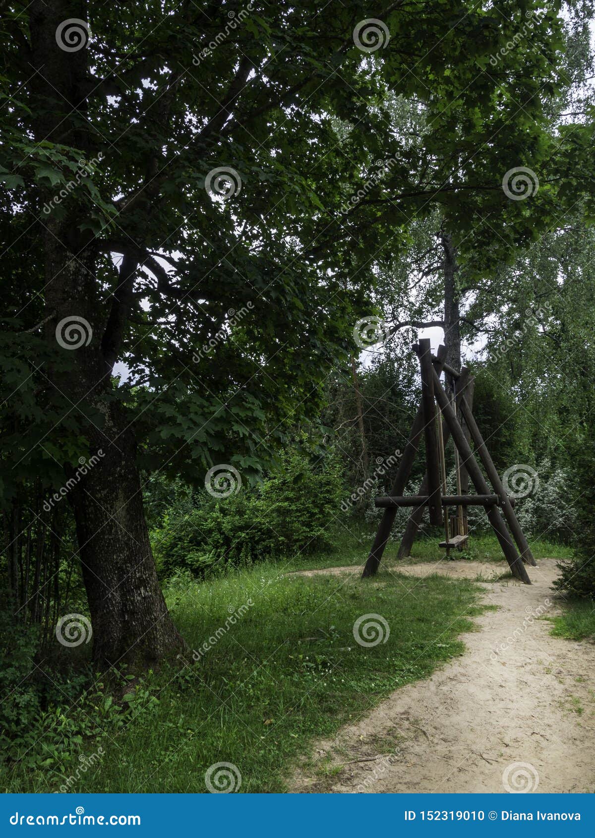 Wooden Swing at the Park Under the Big Forest Trees, Summer Time Stock ...