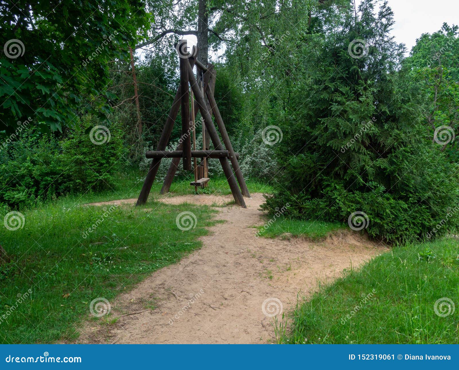 Wooden Swing at the Park Under the Big Forest Trees, Summer Time Stock ...