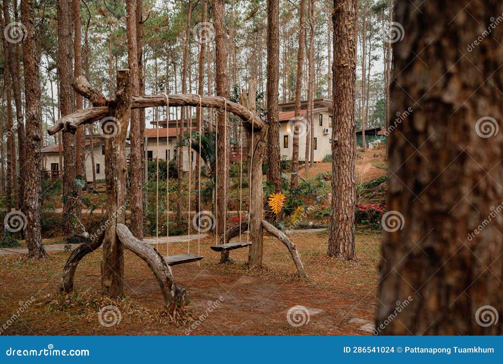 Wooden Swing in Forest Garden Editorial Stock Image - Image of mist ...