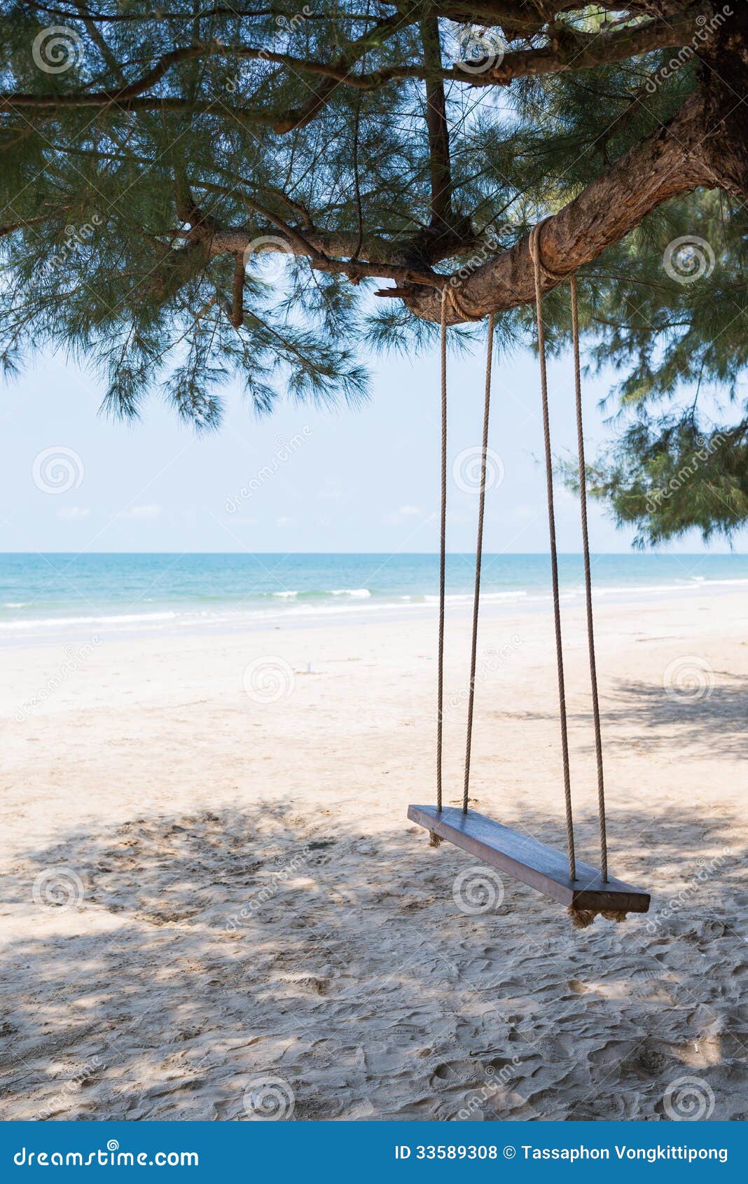 Wooden Swing Under the Tree at Beach Stock Photo - Image of travel ...