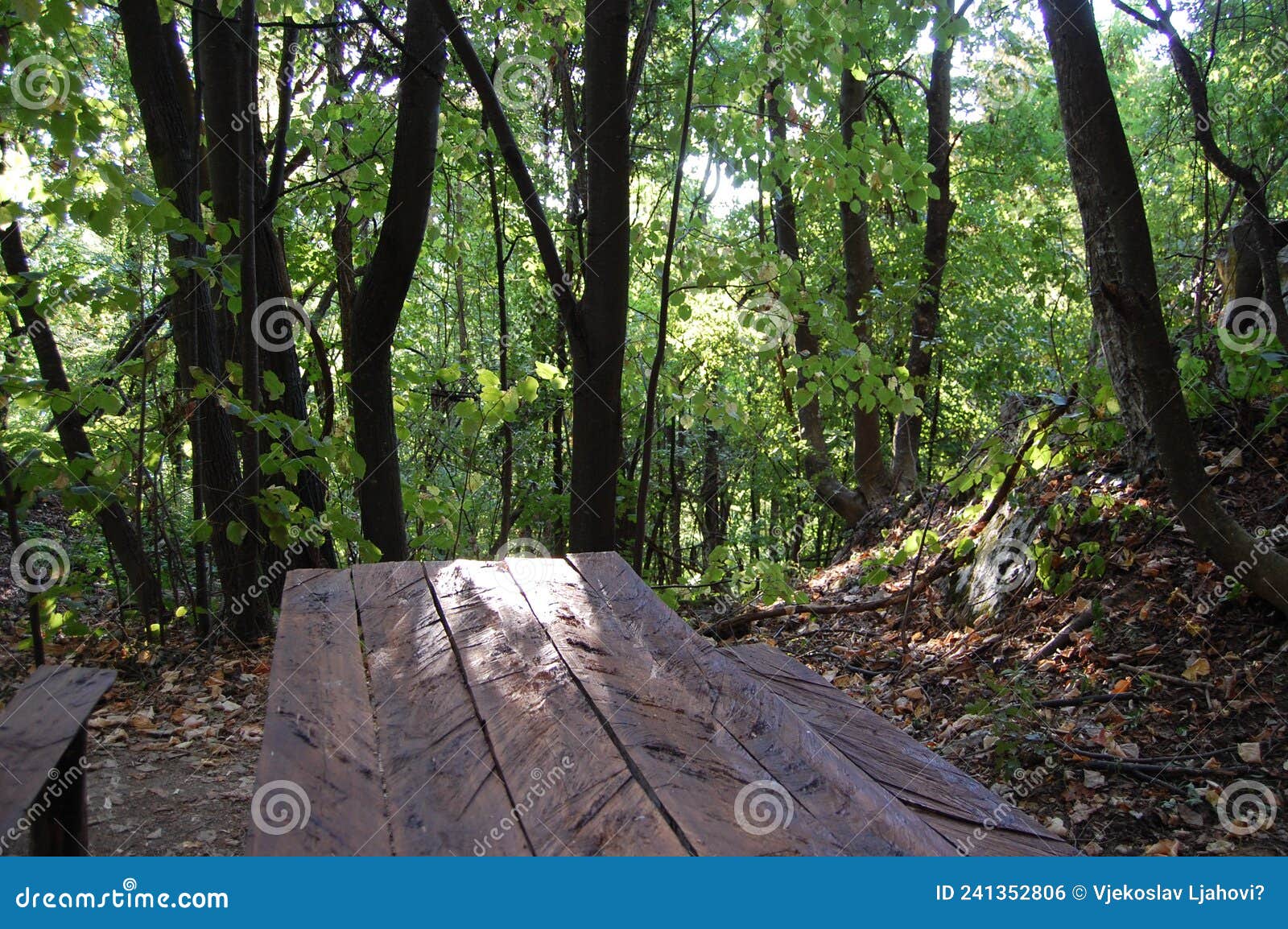 Wooden Table and Bench on a Hiking Trail Stock Photo - Image of autumn ...