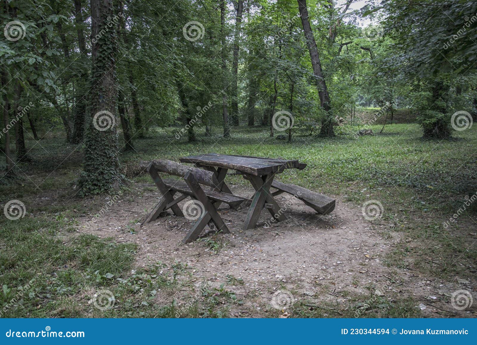 Park of Sumice in Belgrade stock photo. Image of romantic - 230344594