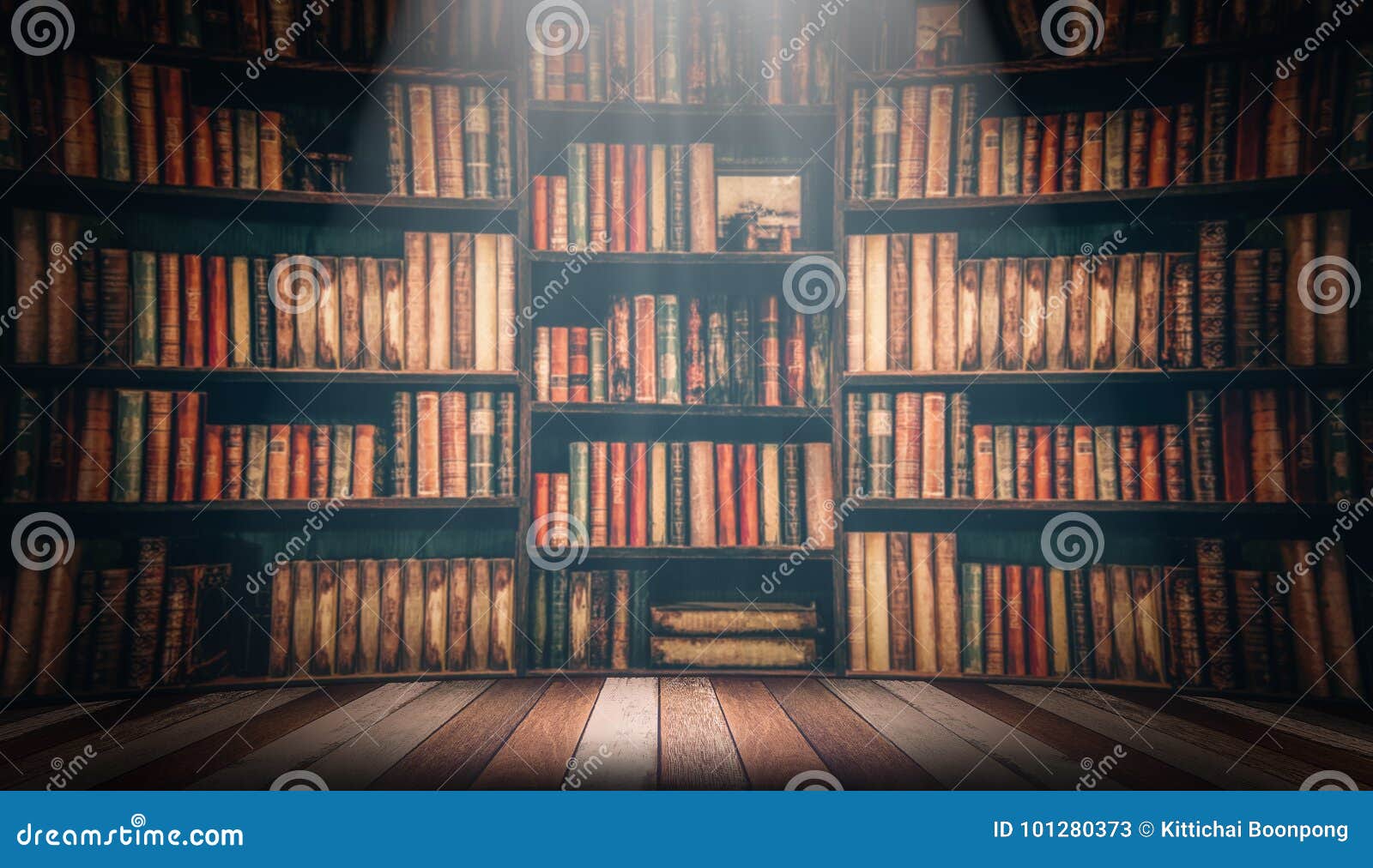 Bookshelf Stock Photography | CartoonDealer.com #55598612