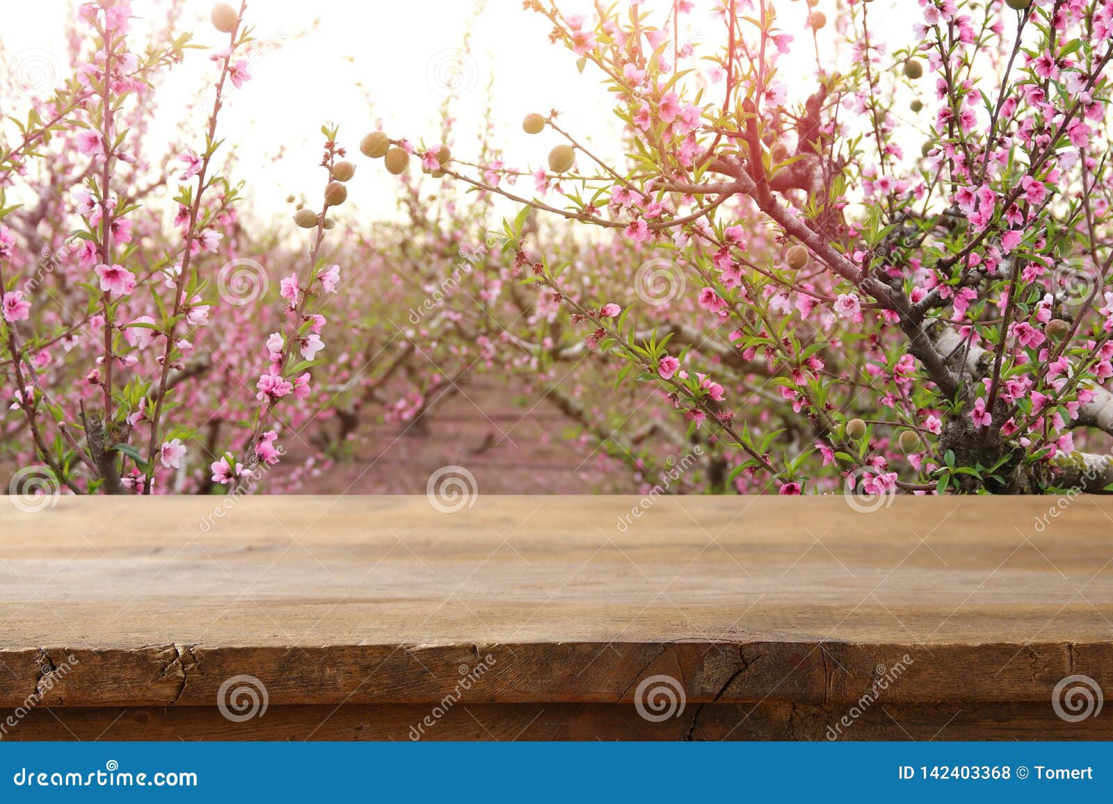 Wooden Table in Front of Spring Blossom Tree Landscape. Product Display ...