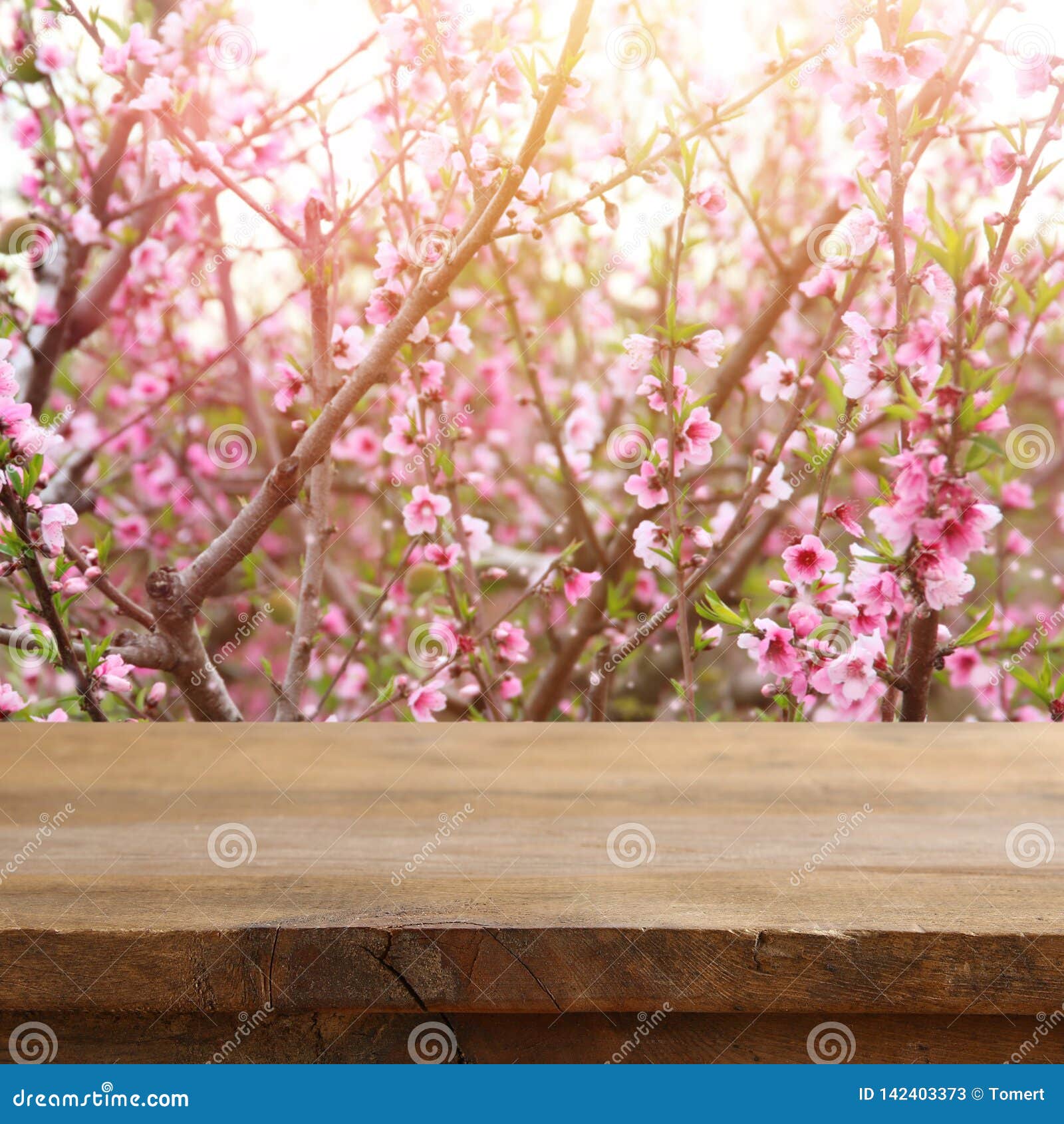 Wooden Table in Front of Spring Blossom Tree Landscape. Product Display ...
