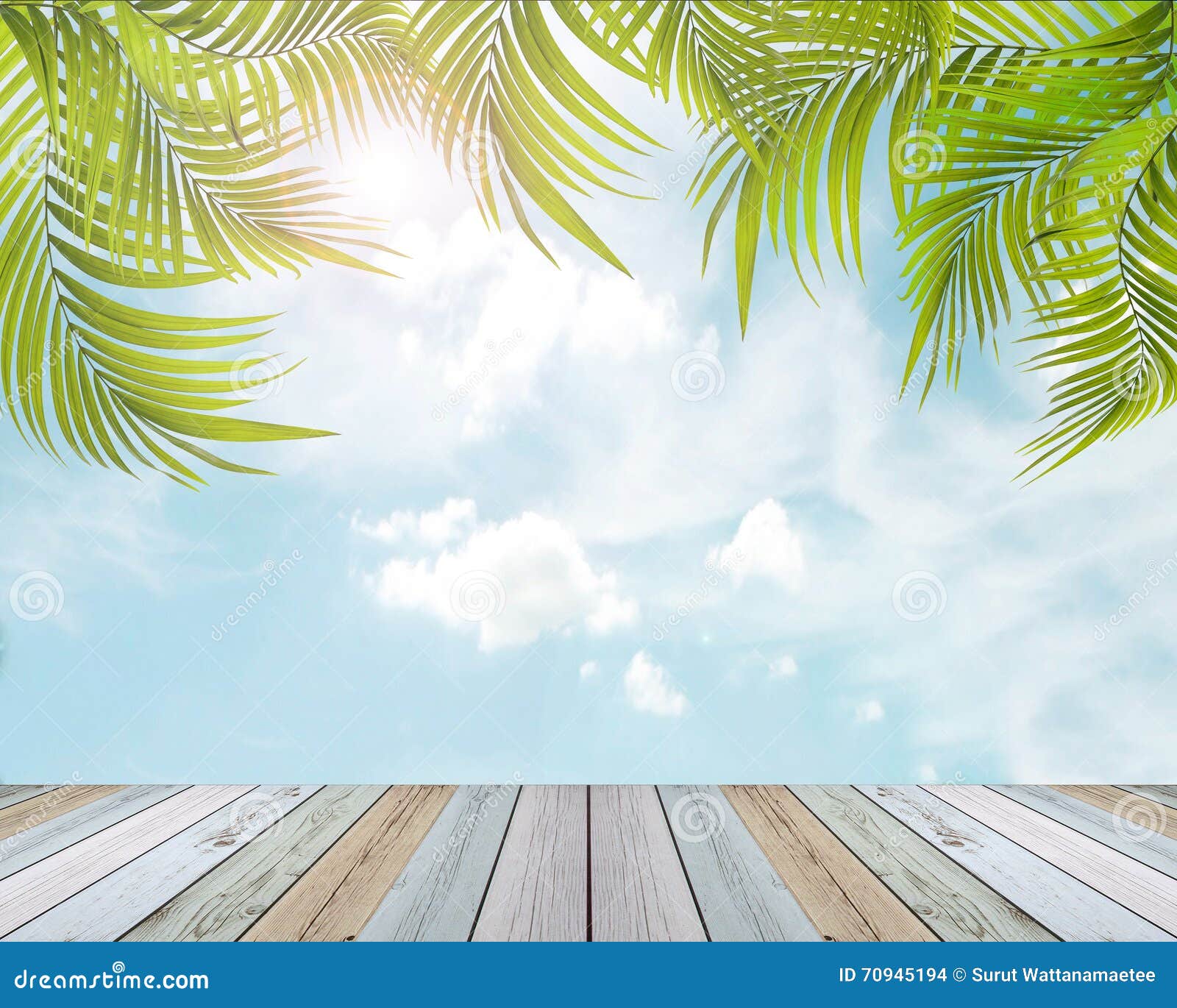 The Wooden Table with Plam Leaves Stock Photo - Image of curl, botany ...