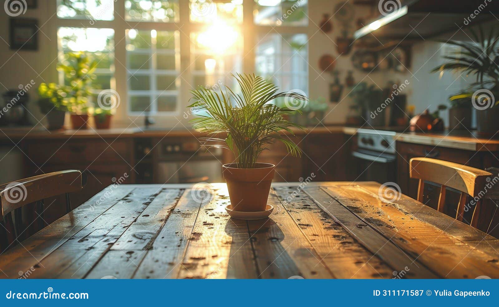 Wooden Table with Potted Plant Stock Image - Image of decorative, space ...