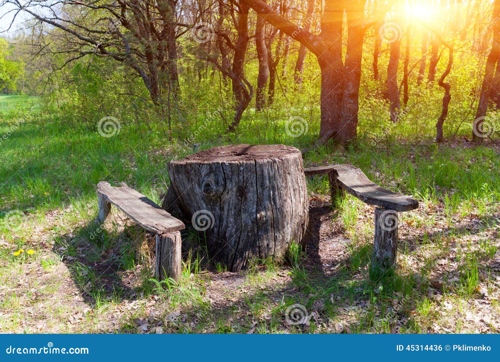 Wooden Table and Seats in Forest Stock Photo - Image of picnic, lawn ...