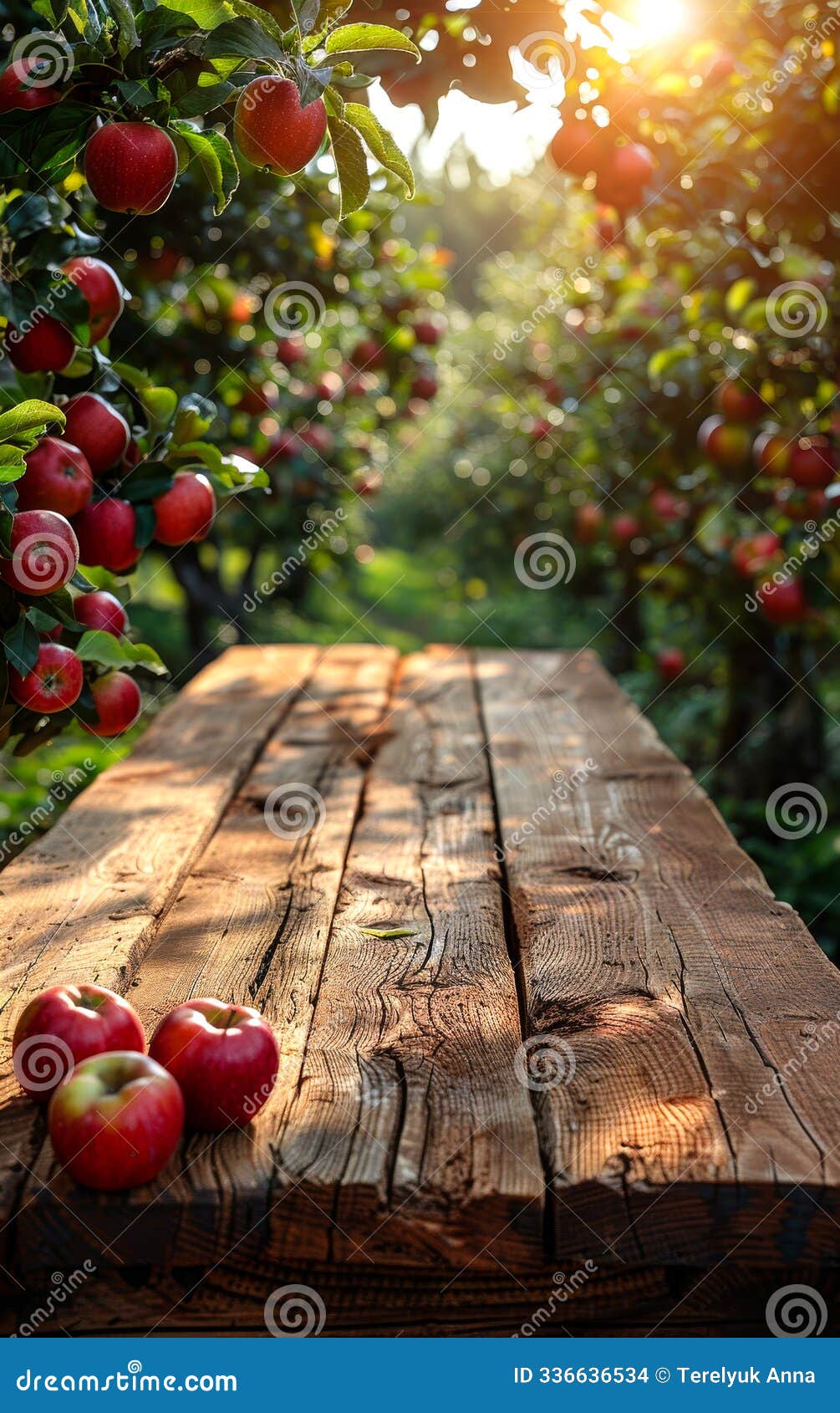 A Wooden Table with Three Apples on it Stock Photo - Image of ripe ...