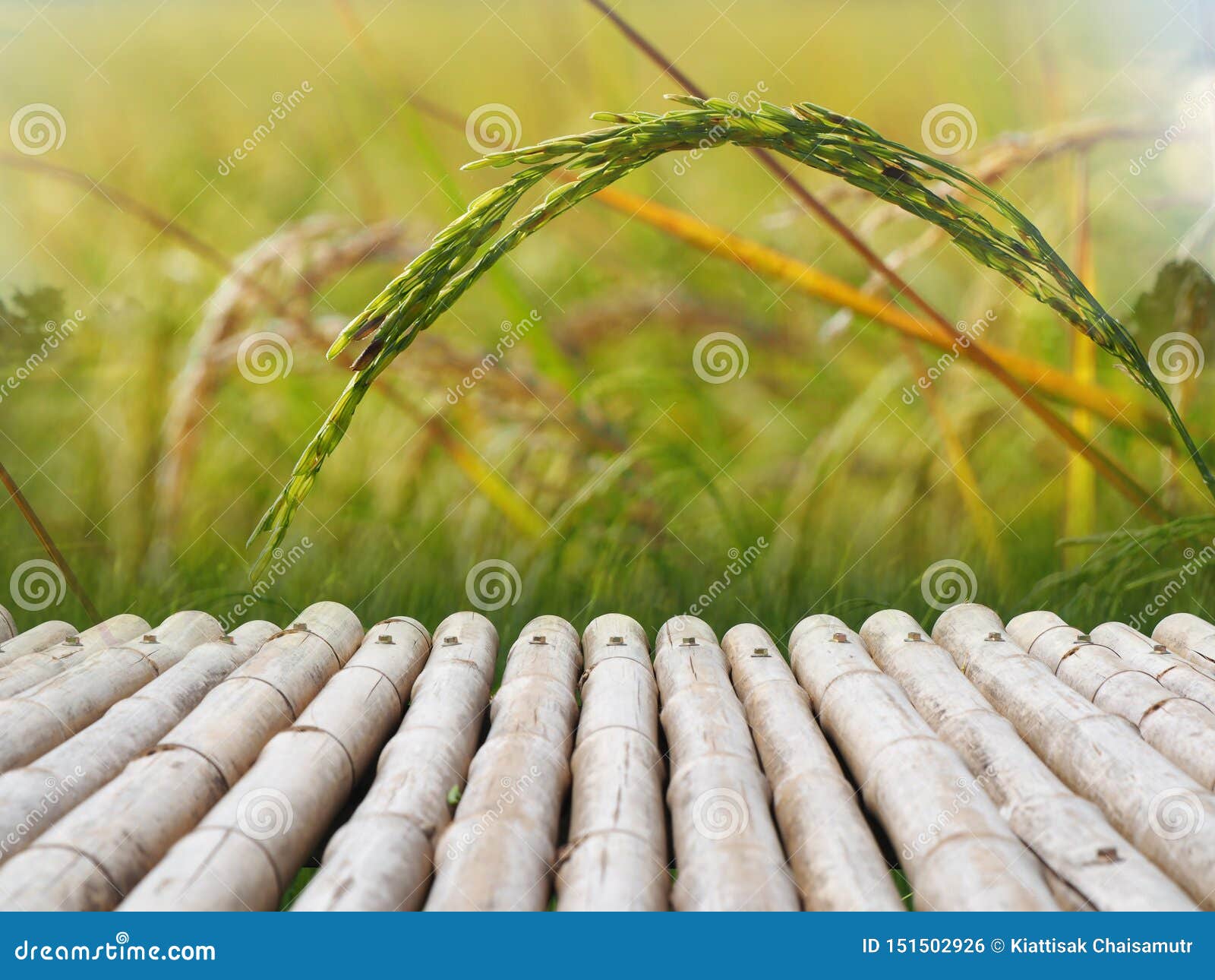 Wooden Table Top with Nature Fallen Rice Stock Photo - Image of ...