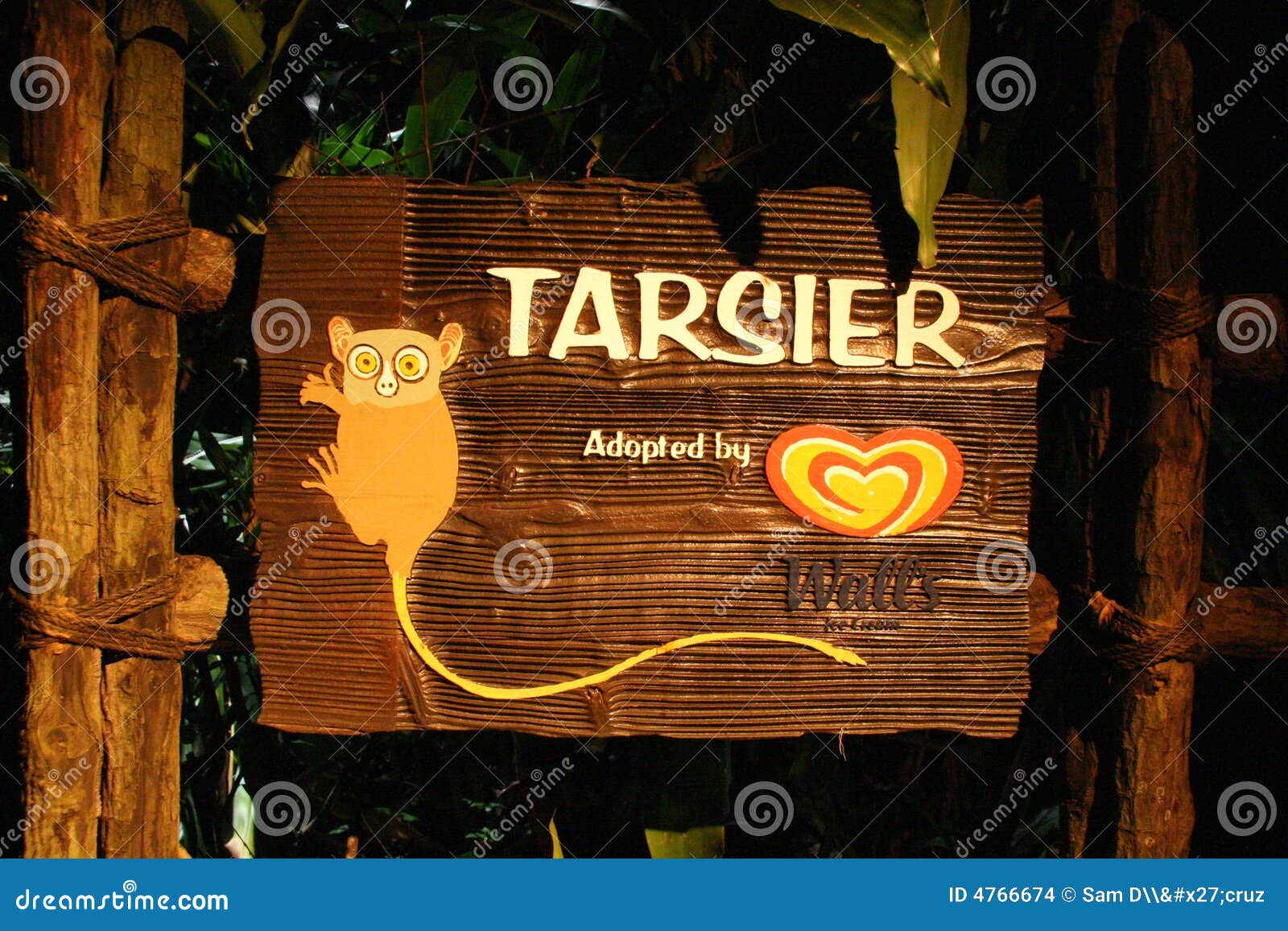 Wooden Tarsier Sign stock photo. Image of tarsier, entrance - 4766674