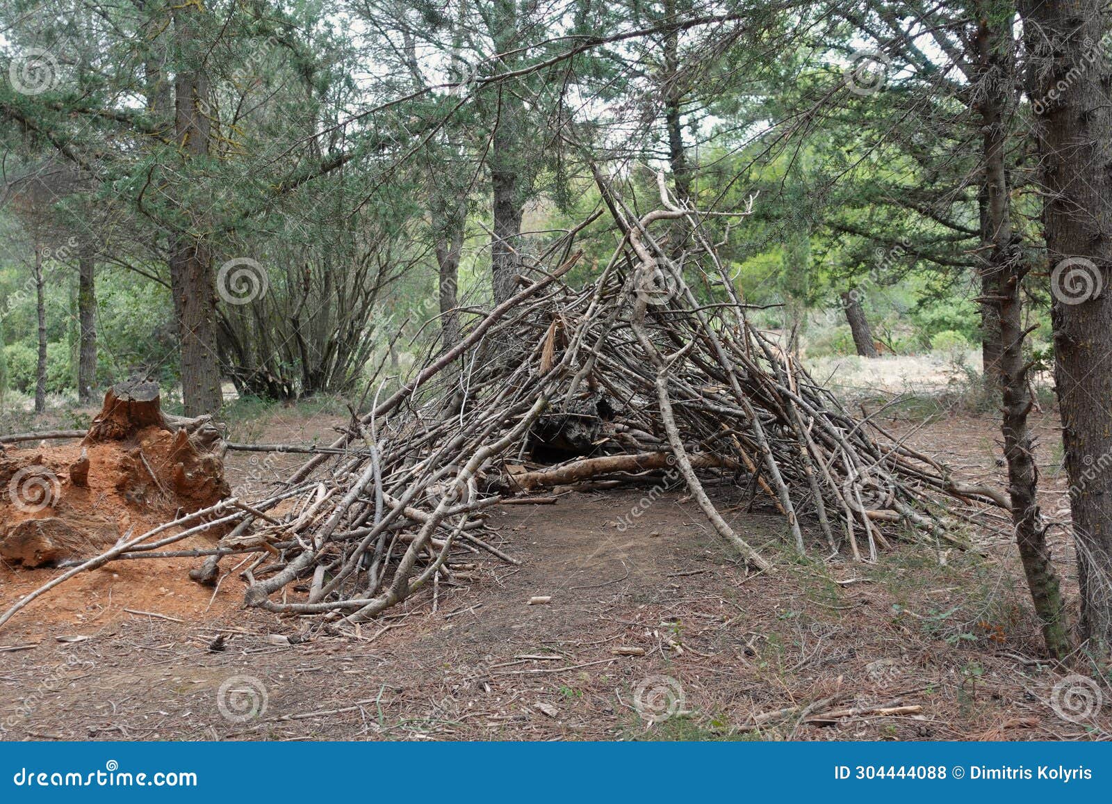Wooden Tent Structure Made from Tree Branches in the Woods Stock Photo ...