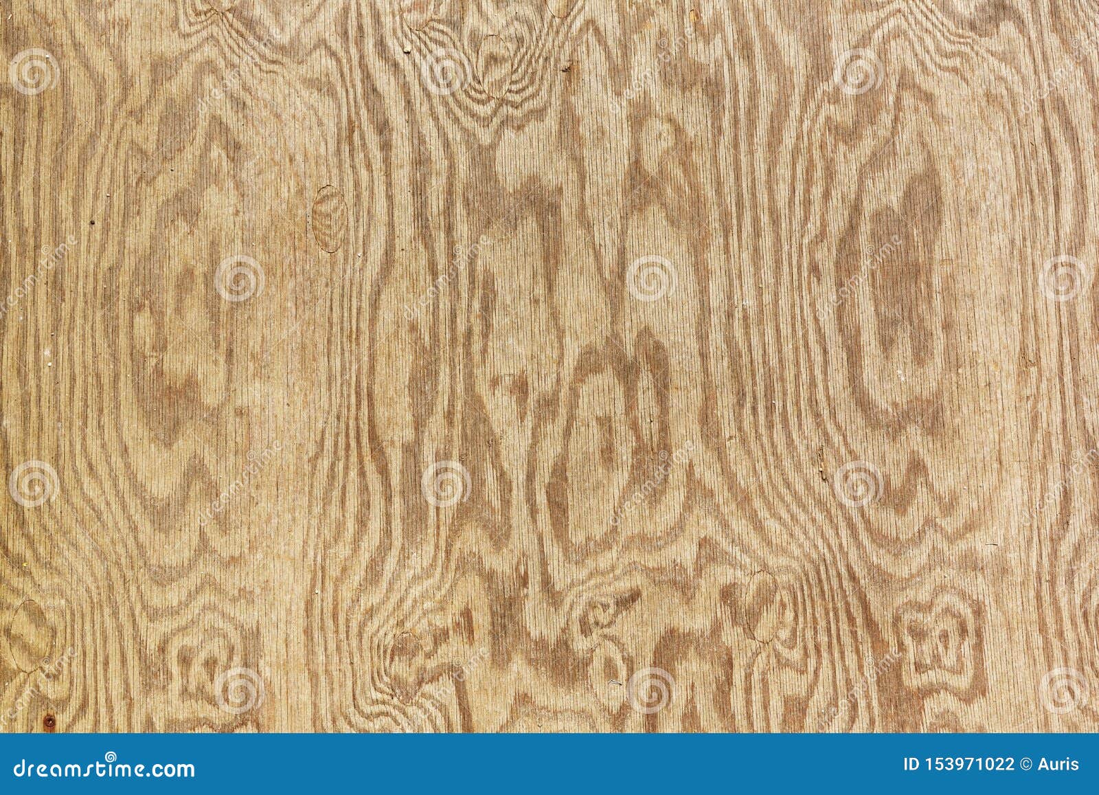 Wooden texture background stock photo. Image of design - 153971022