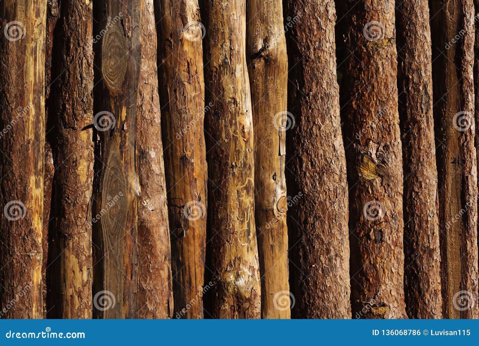 Wooden Texture Background. Many Round Woods Background Stock Photo ...