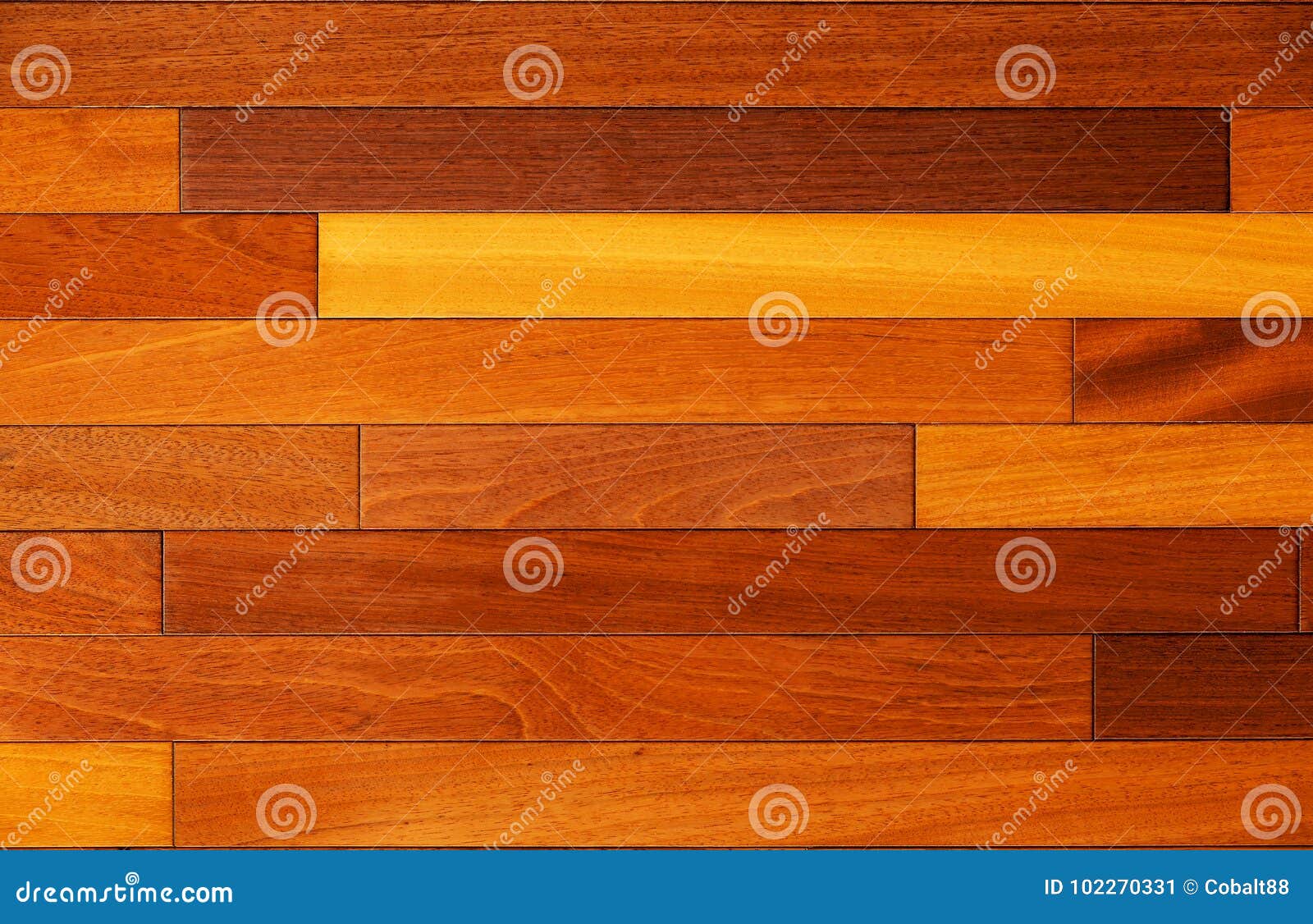 Wood Or Kempas Tree (Koompassia Malaccensis) Stock Photo ...
