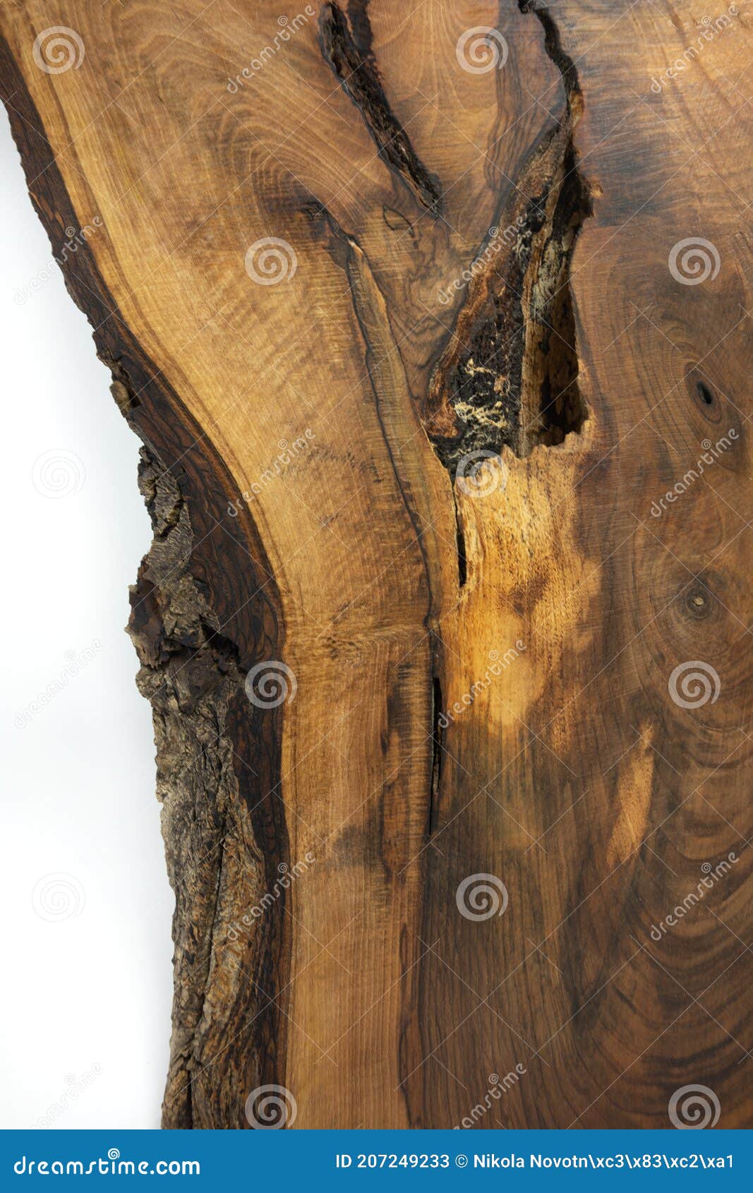 Wooden Texture with Bark and Live Edge Stock Image - Image of tree ...