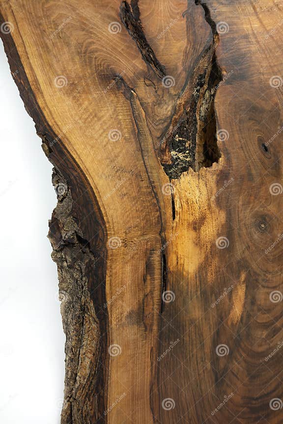 Wooden Texture with Bark and Live Edge Stock Image - Image of tree ...