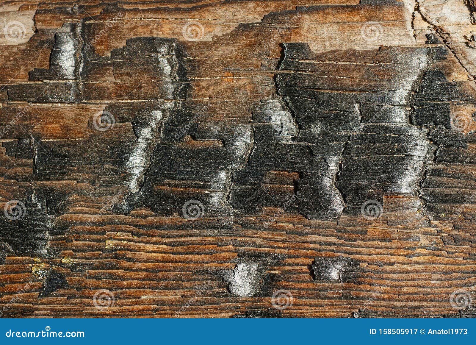 Texture of Charred Brown Plank in Black Soot Stock Image - Image of ...