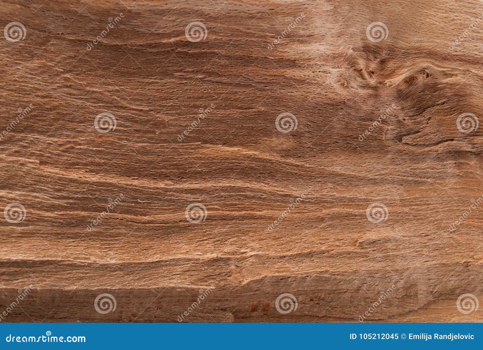 Raw Wood Texture for Design and Decoration Stock Image - Image of ...