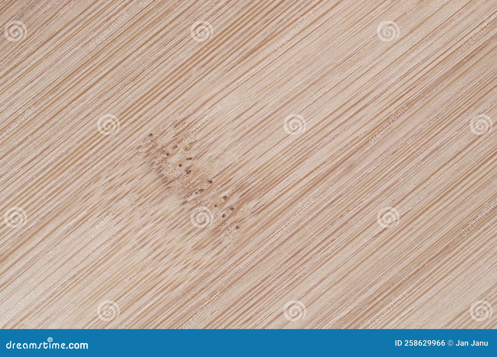 Wooden texture stock photo. Image of hardwood, board - 258629966