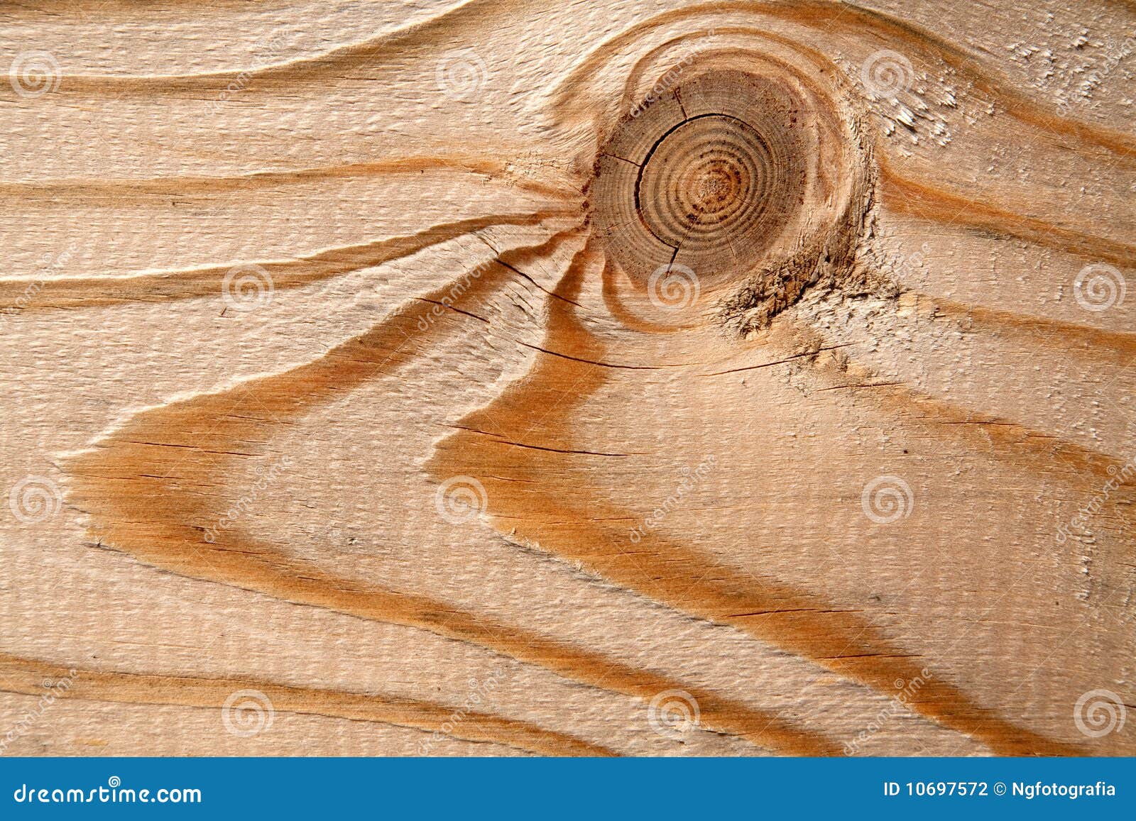 Pinewood Stock Photo | CartoonDealer.com #47124240